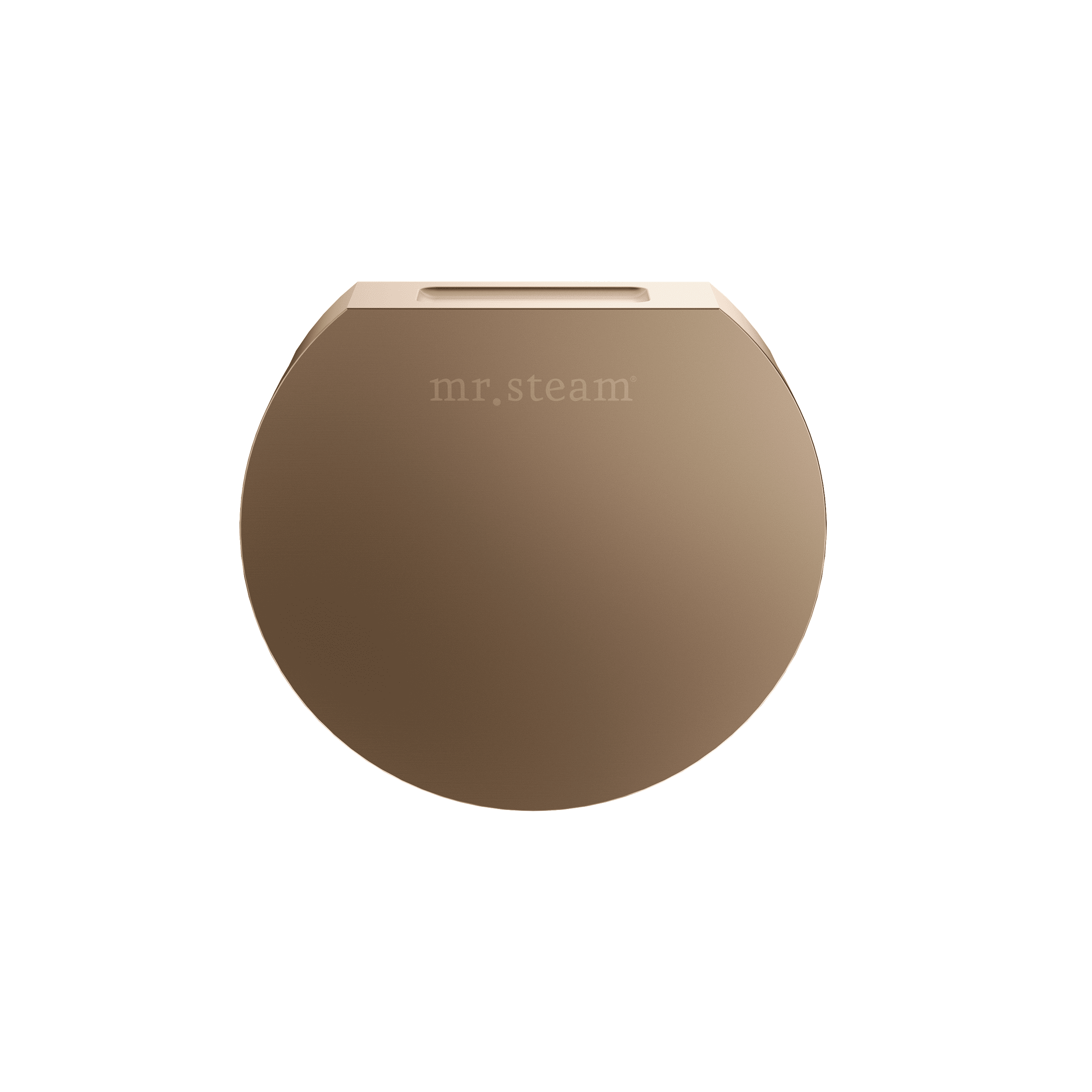 Mr Steam Designer 3 in. Steamhead with AromaTherapy Reservoir in Round ...