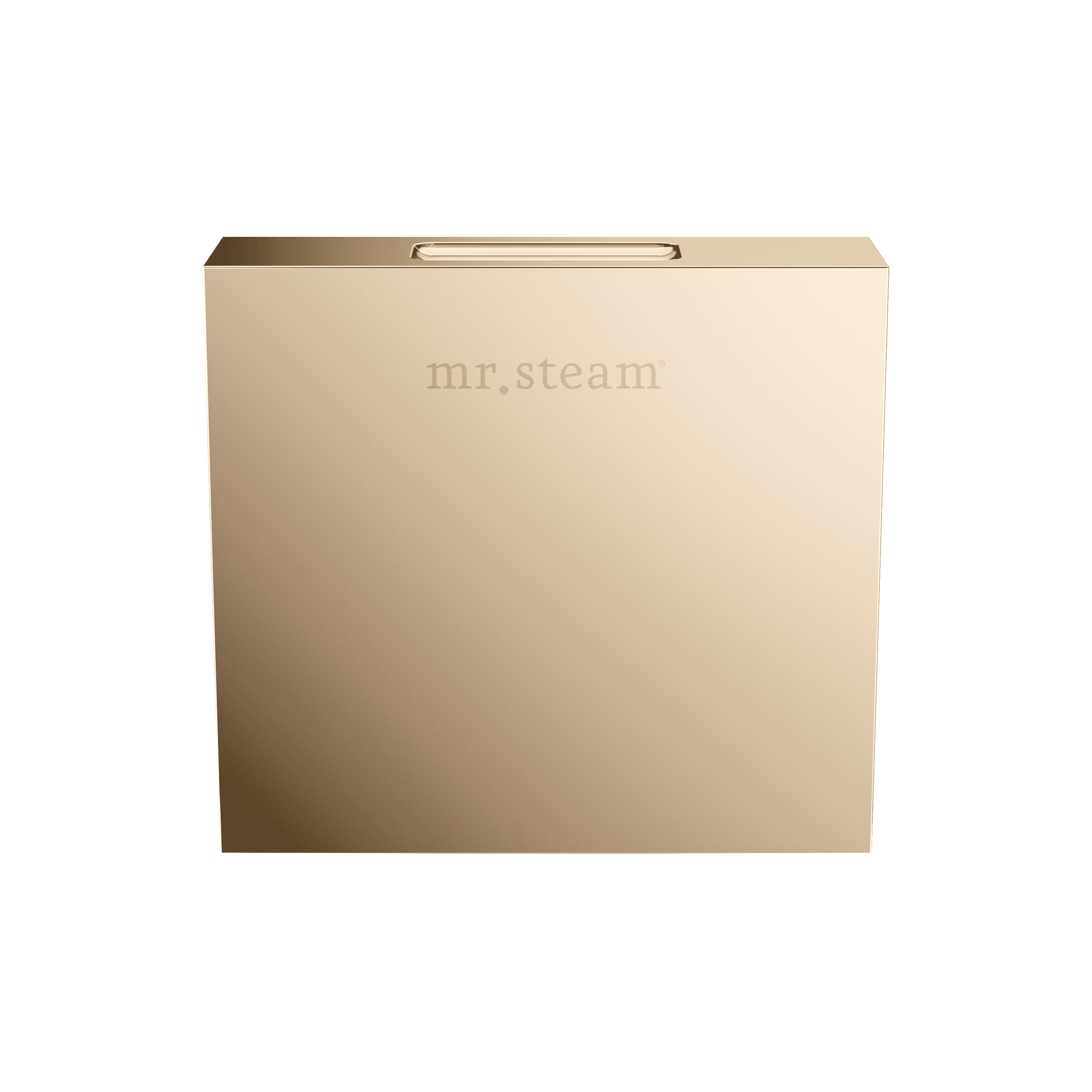 Mr Steam Designer 3 in. Steamhead with AromaTherapy Reservoir in Square ...