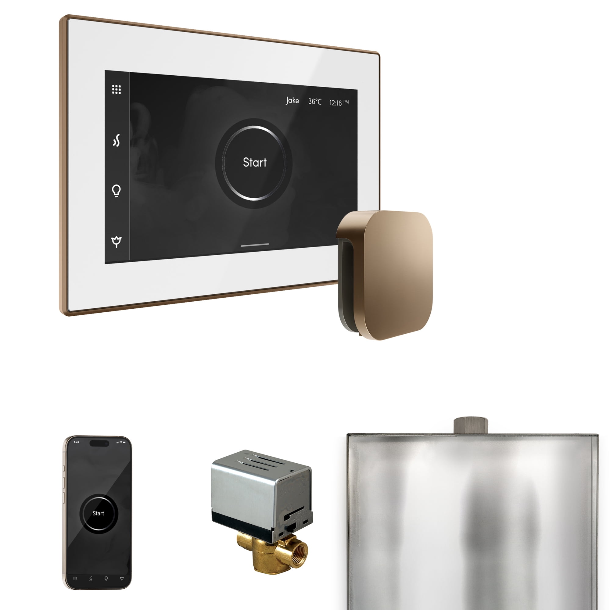 Mr Steam XButler Steam Shower Pkg w/iSteamX Control and Linear ...