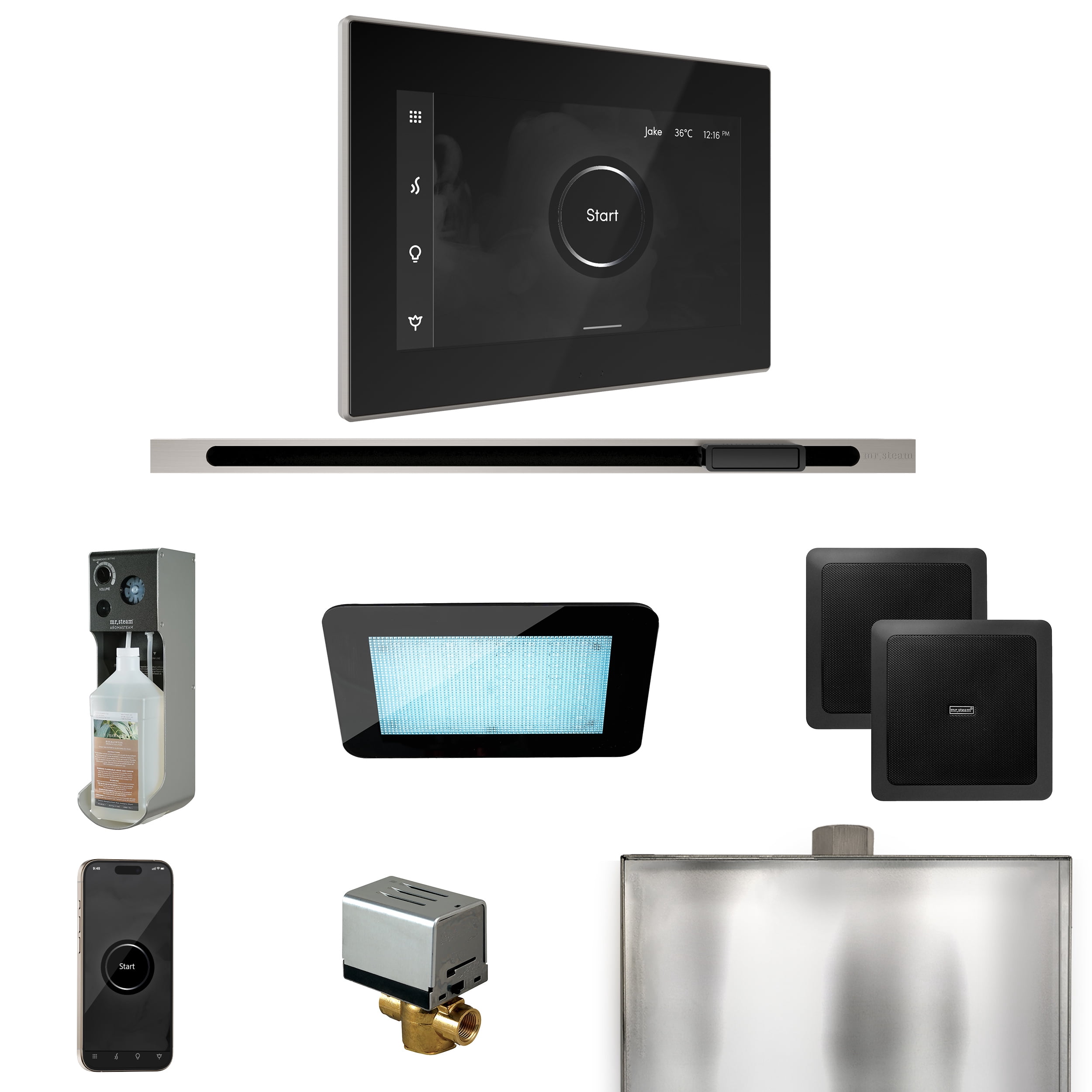 Mr Steam XDream Steam Shower Ctrl Pkg w/iSteamX Control and Linear ...