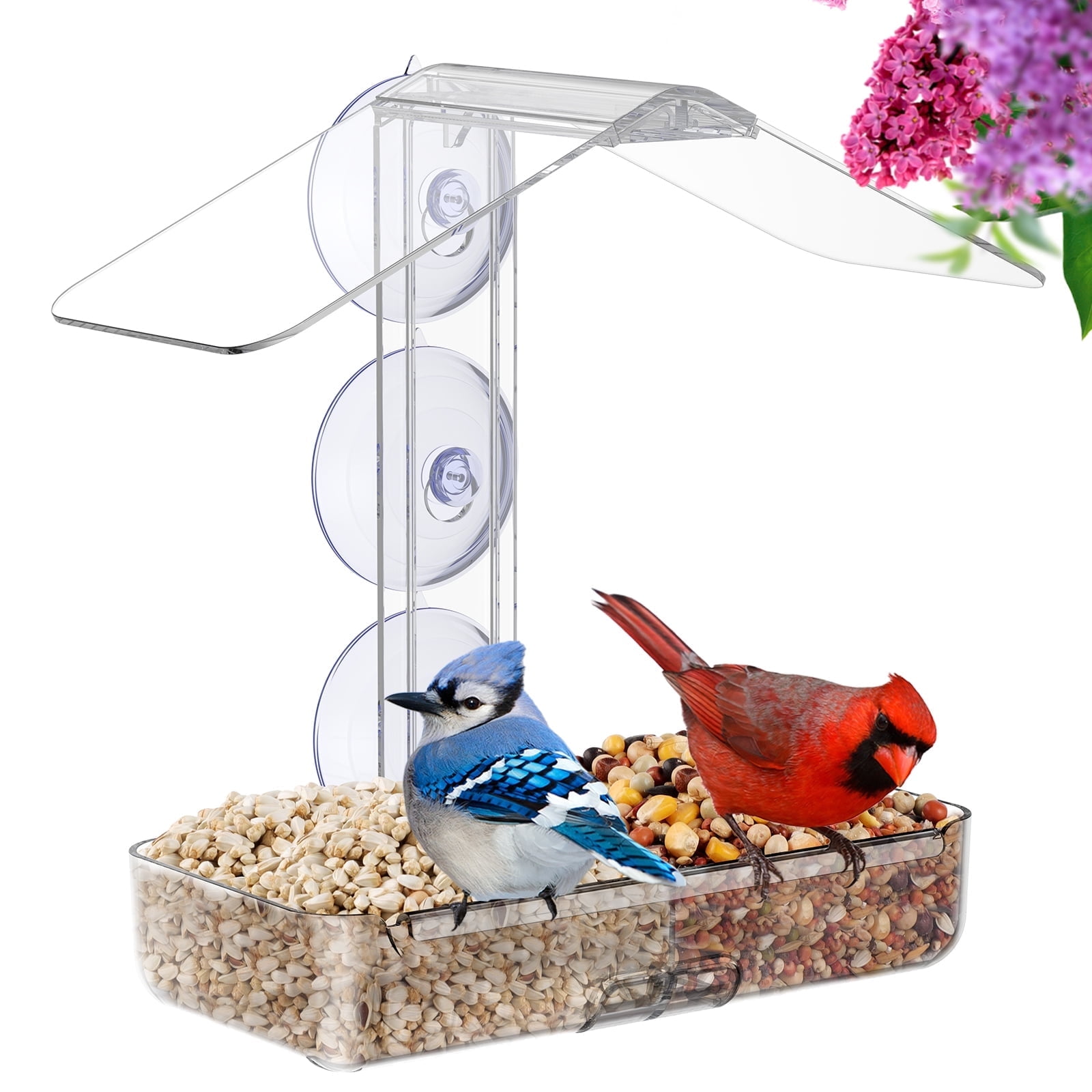 Mrcrafts Window Bird Feeder with Strong Suction Cups, Clear Window Bird ...