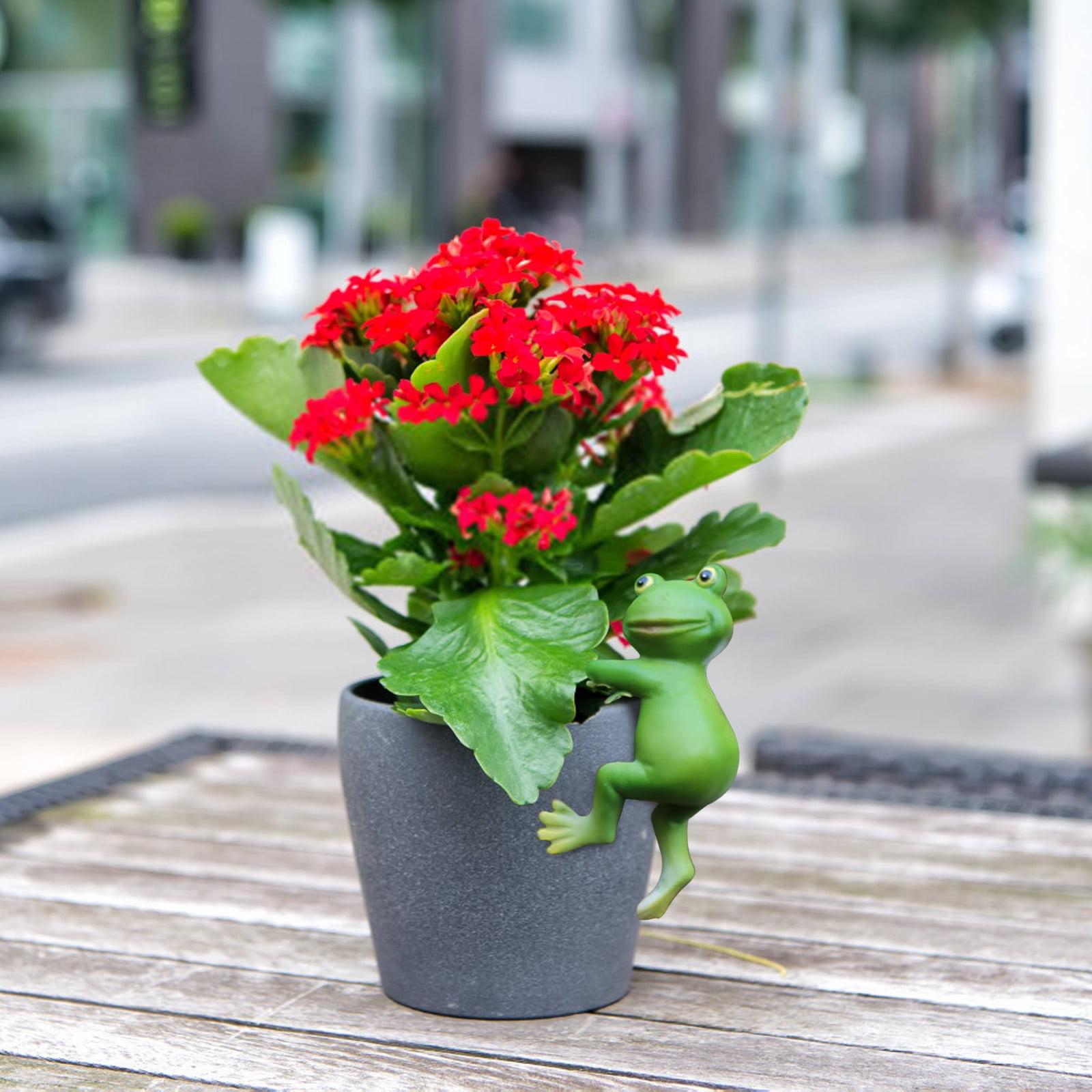 Mrmaere Cute Frog Figurines Hanging Animal Statue,Resin Pot Climbing ...