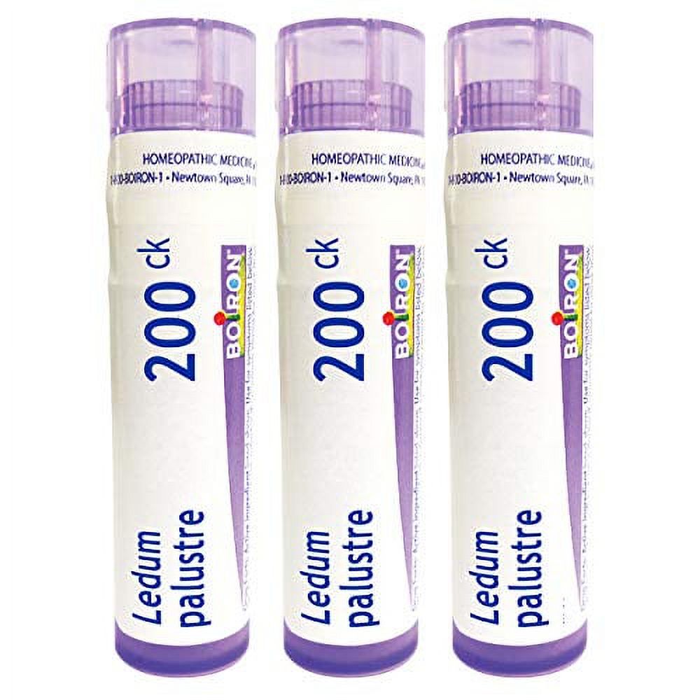 Boiron Ledum Palustre 200ck Homeopathic Medicine for Insect Bites or ...