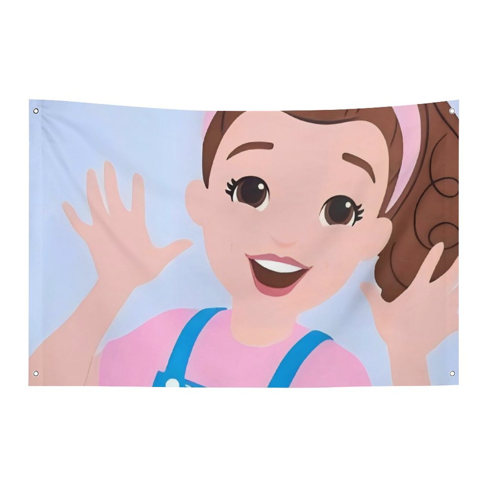 Ms. Rachel Flag Banner Funny Poster Wall Flag College Dorm Room ...