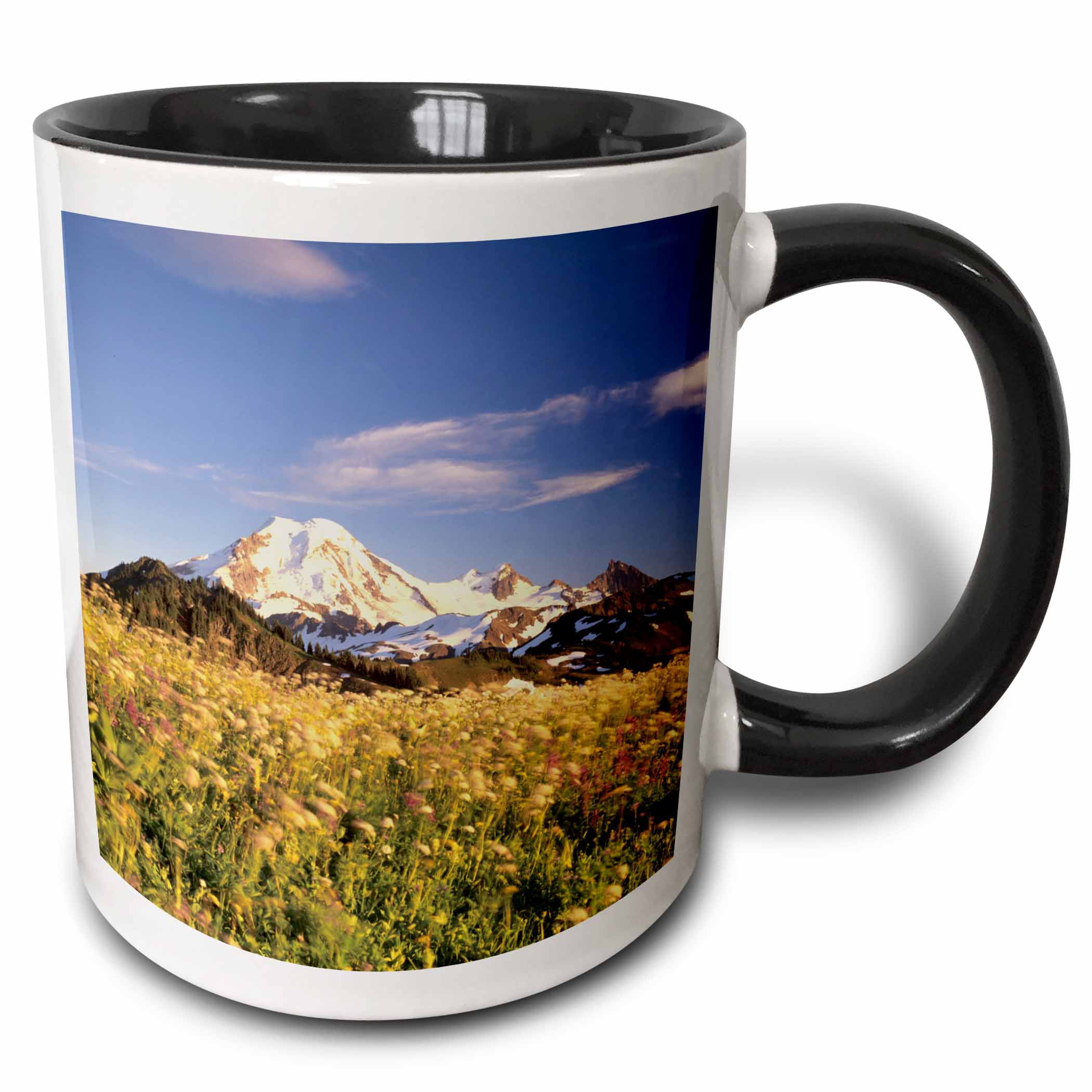 3drose, Mt Baker Wilderness, Mt Baker, Skyline Divide - Us48 Jwi1285 ...