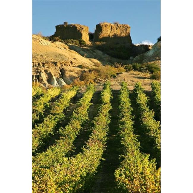 Mt Difficulty Vineyard & Historic Sluicings Bannockburn South Island ...