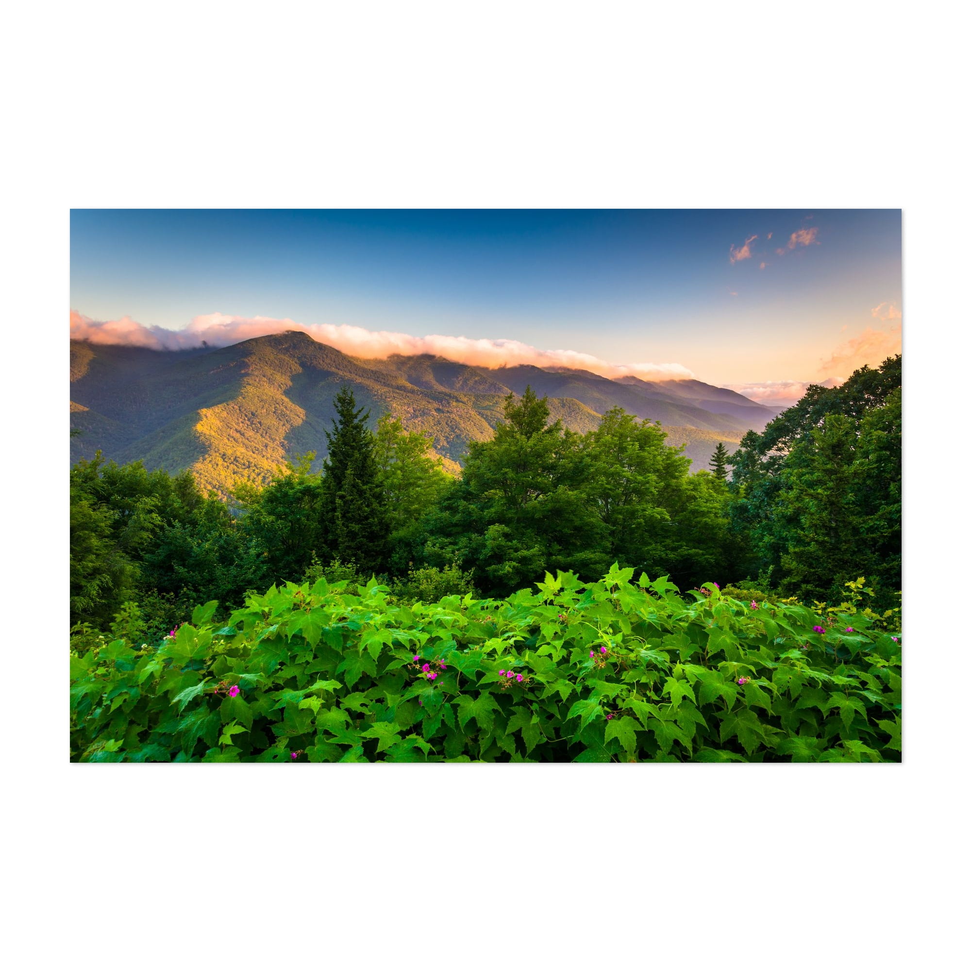 Mt. Mitchell Overlook - North Carolina Photography Landscape Mountain ...
