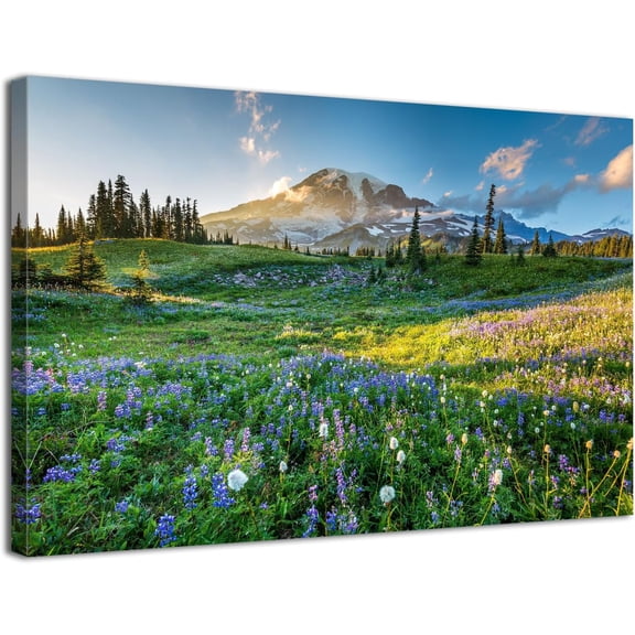 Poppies Canvas Pictures
