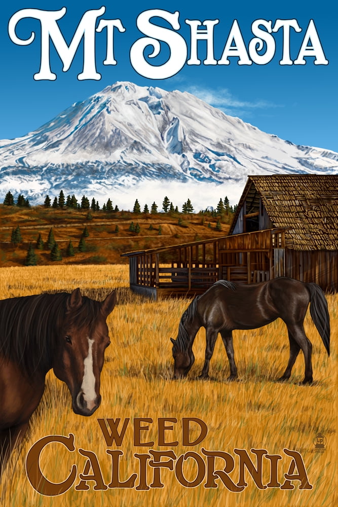 Mt. Shasta, Weed, California, Horses and Mountain (12x18 Wall Art ...