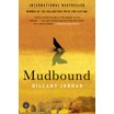 Mudbound - Paperback - Walmart.com