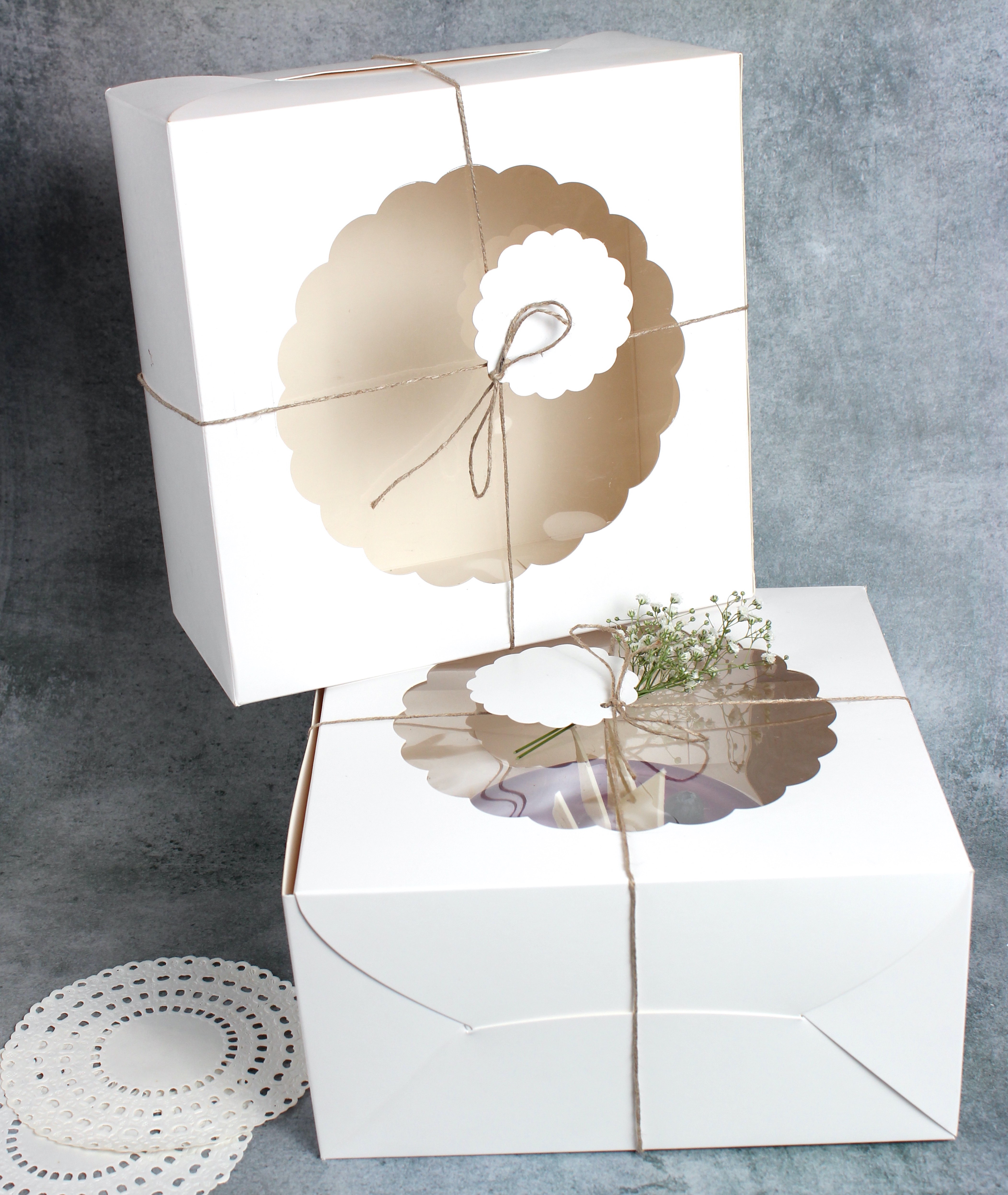 Mudrit Cake Boxes with Window - 10 Pcs 10x10x5 Inches White Bakery ...