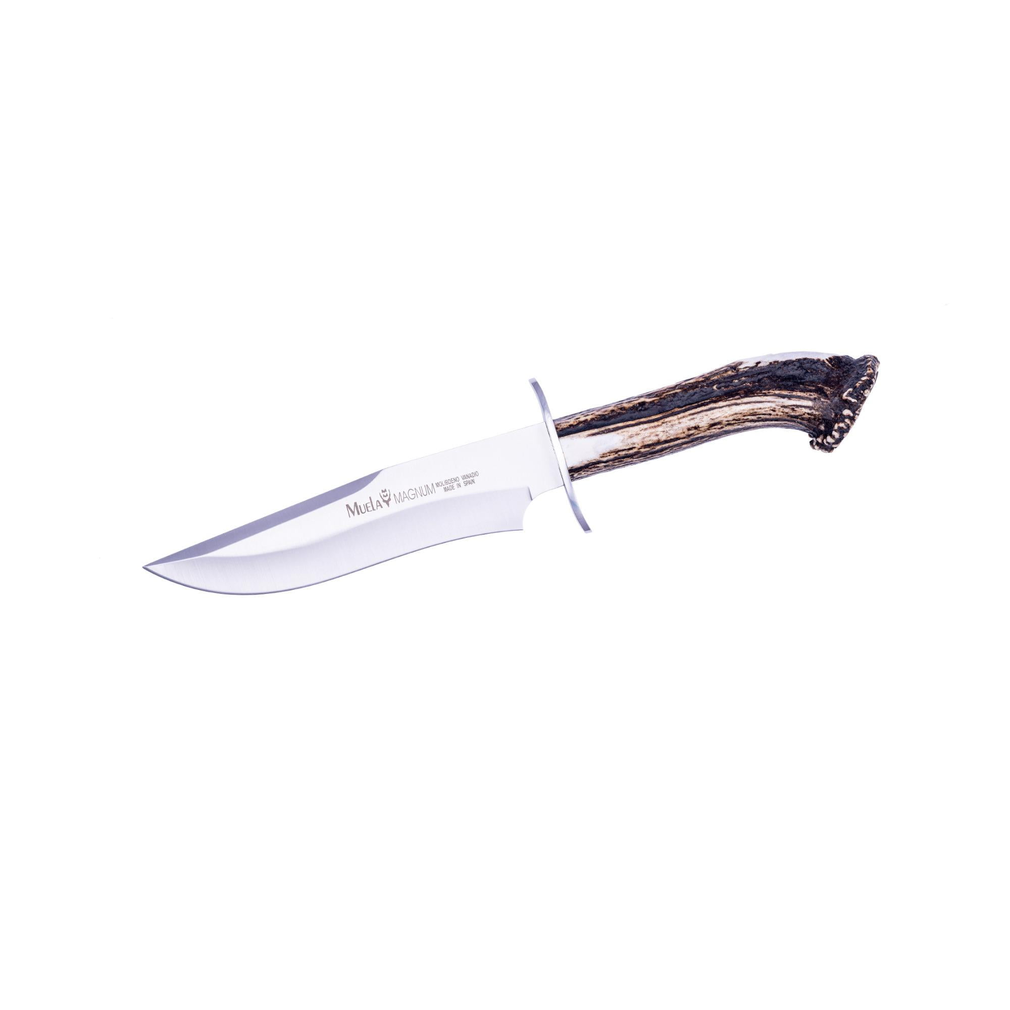 Muela MAGNUM-17S Knife with Deer Antler Handle Rosette 170mm MOVA Blade ...