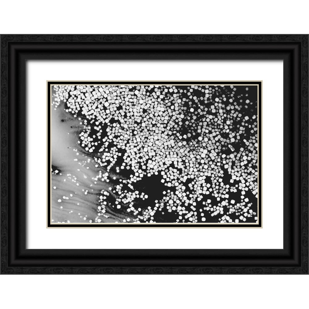 Muench, Zandria 14x11 Black Ornate Wood Framed with Double Matting ...