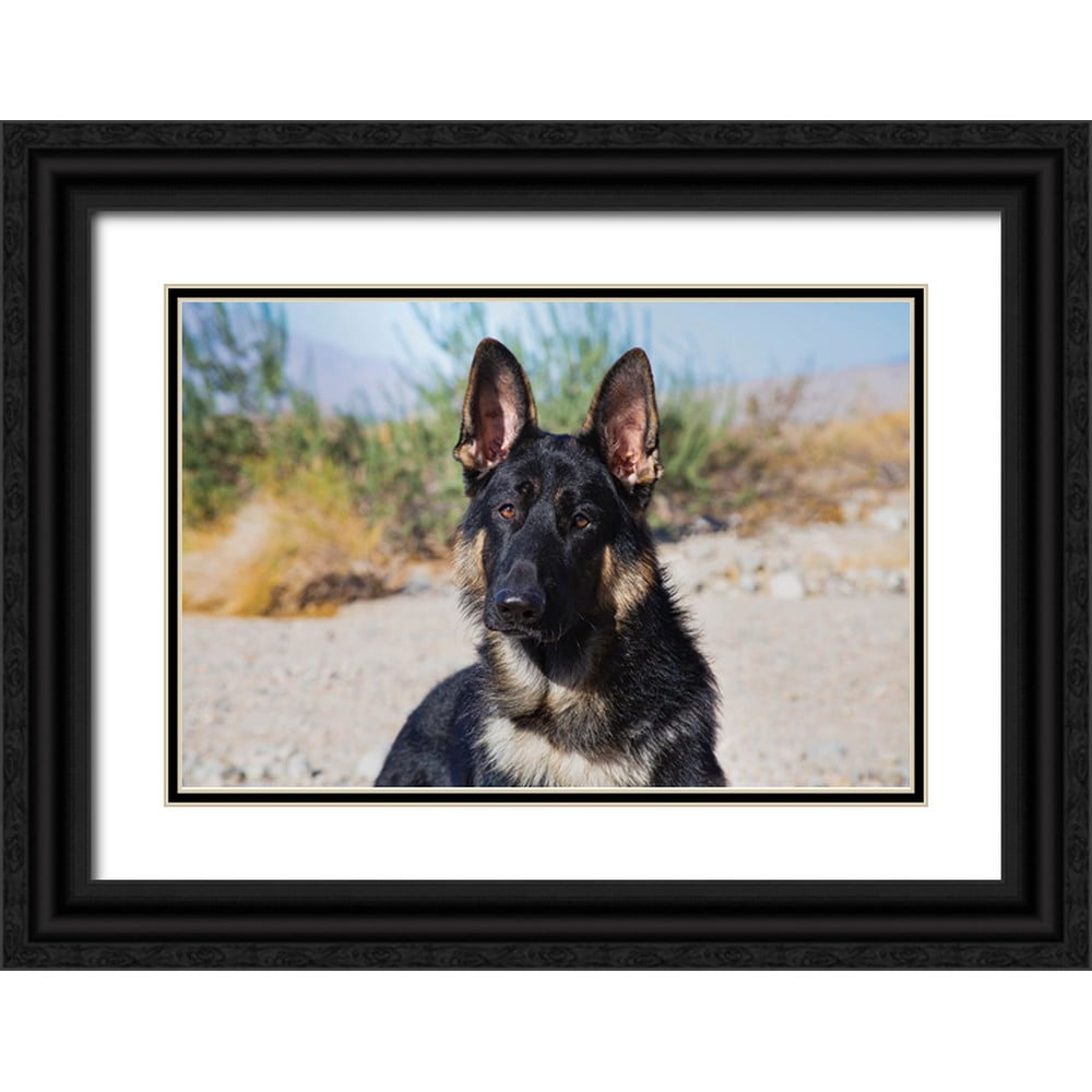 Muench, Zandria 14x11 Black Ornate Wood Framed with Double Matting ...