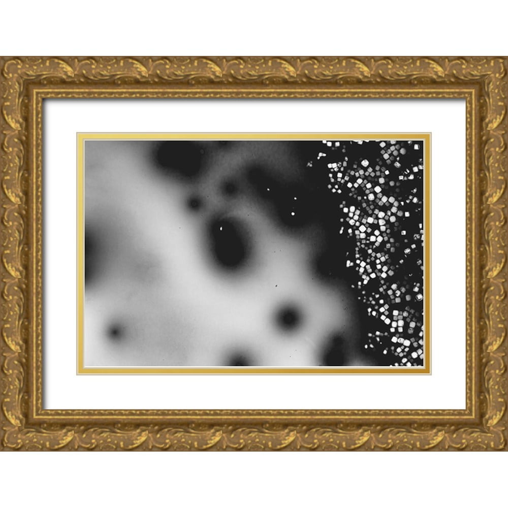 Muench, Zandria 14x11 Gold Ornate Wood Framed with Double Matting ...