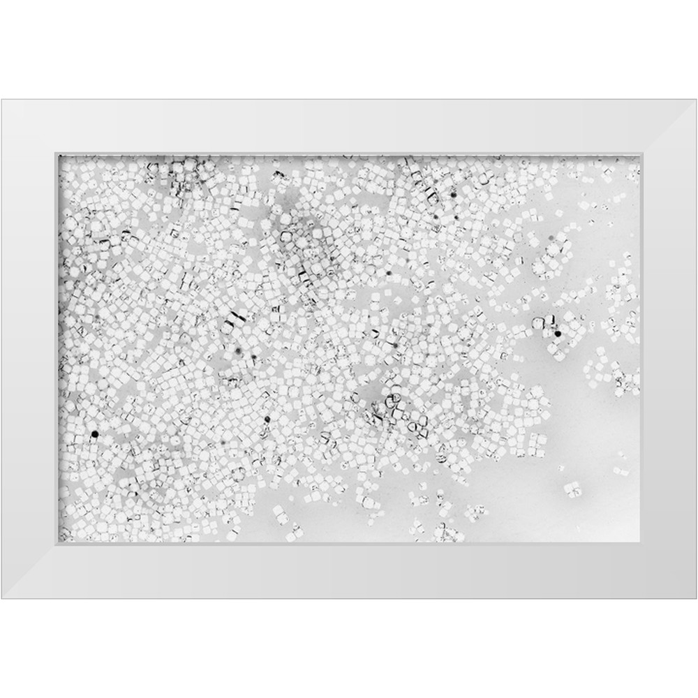 Muench, Zandria 14x11 White Modern Wood Framed Museum Art Print Titled ...