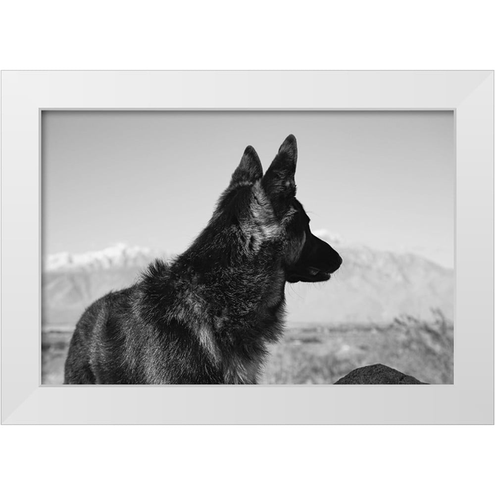 Muench, Zandria 14x11 White Modern Wood Framed Museum Art Print Titled ...