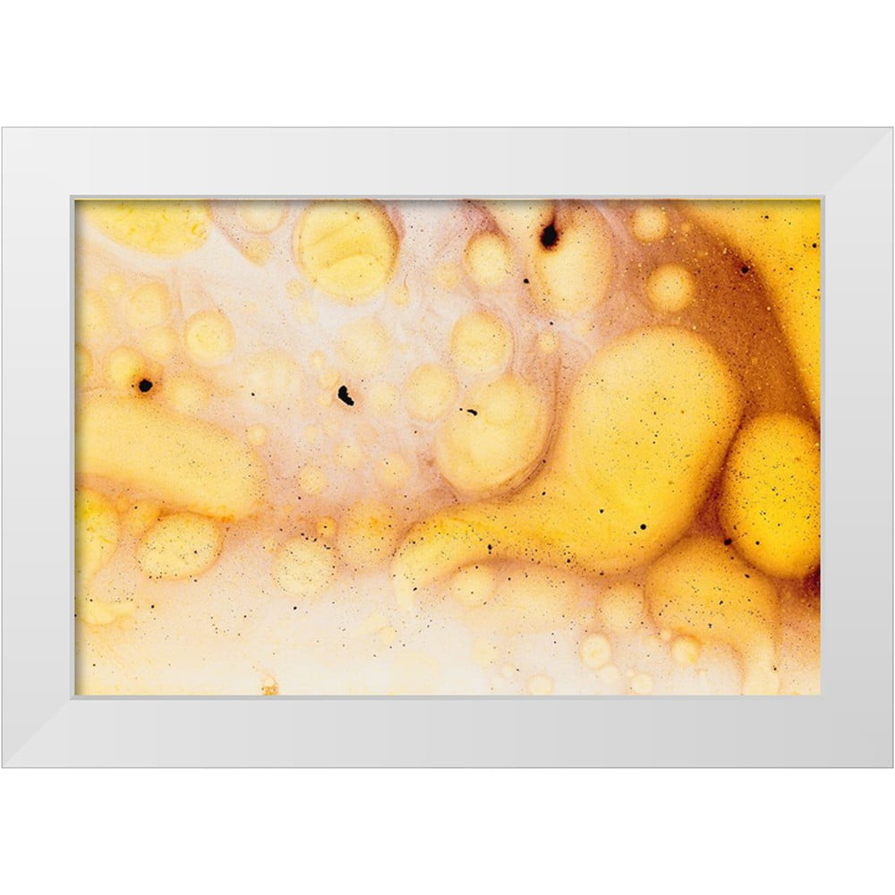 Muench, Zandria 14x11 White Modern Wood Framed Museum Art Print Titled ...