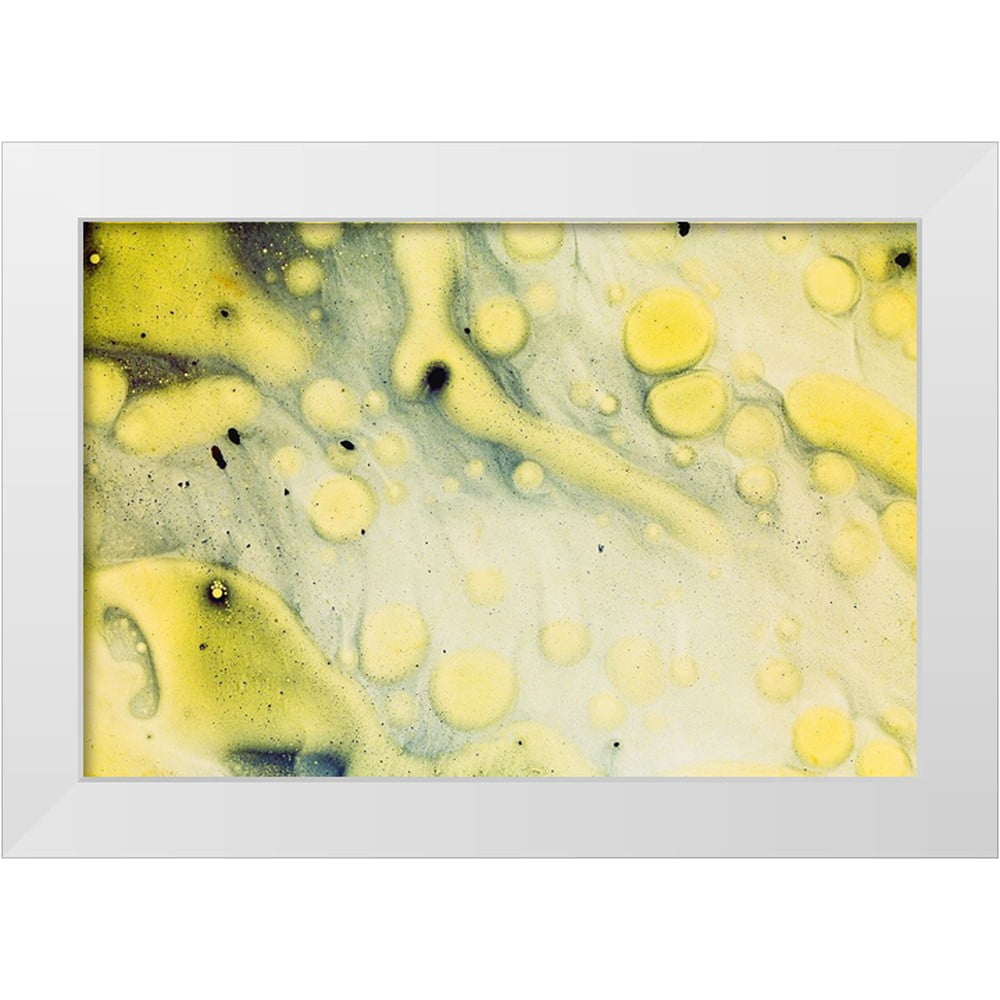 Muench, Zandria 14x11 White Modern Wood Framed Museum Art Print Titled ...