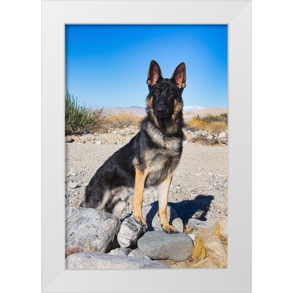 Muench, Zandria 17x24 White Modern Wood Framed Museum Art Print Titled ...