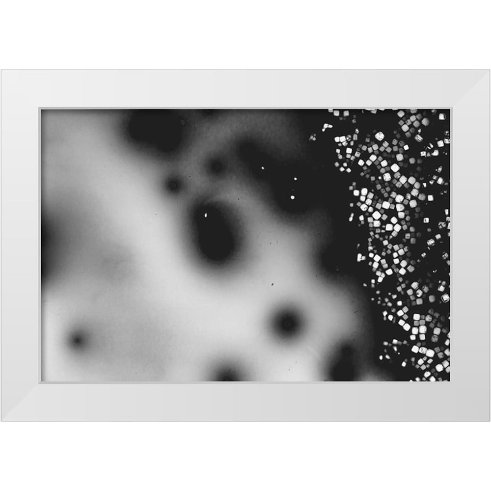 Muench, Zandria 18x13 White Modern Wood Framed Museum Art Print Titled ...