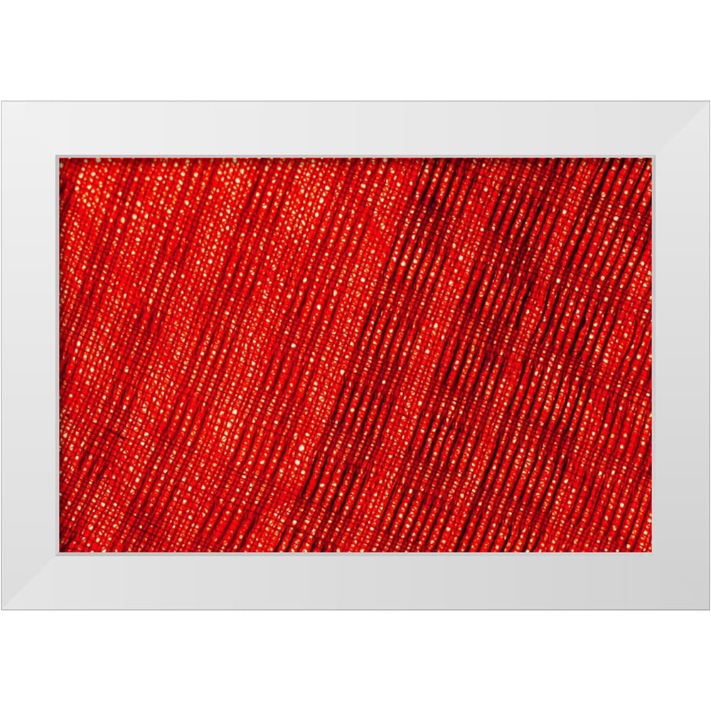 Muench, Zandria 18x13 White Modern Wood Framed Museum Art Print Titled ...