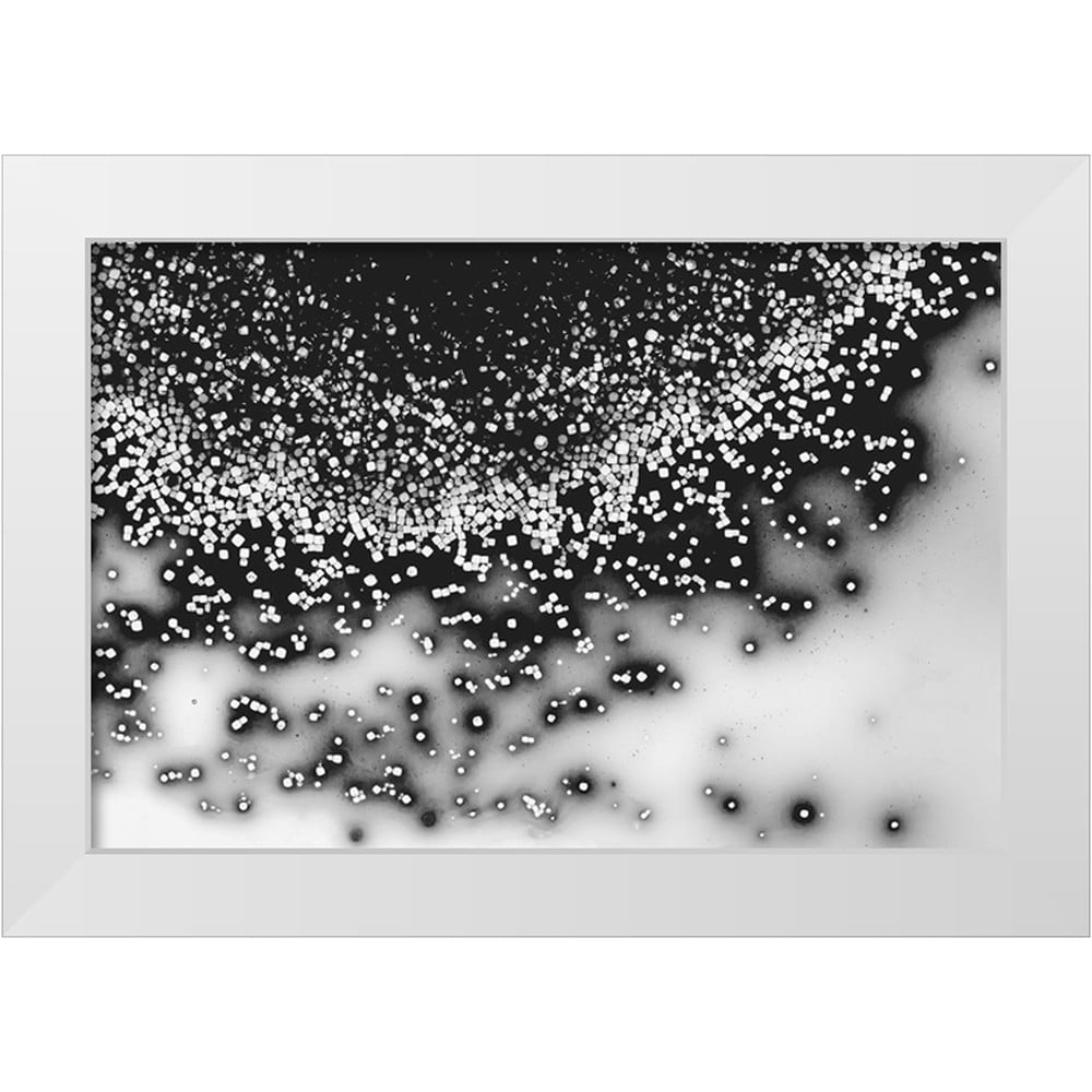 Muench, Zandria 24x17 White Modern Wood Framed Museum Art Print Titled ...