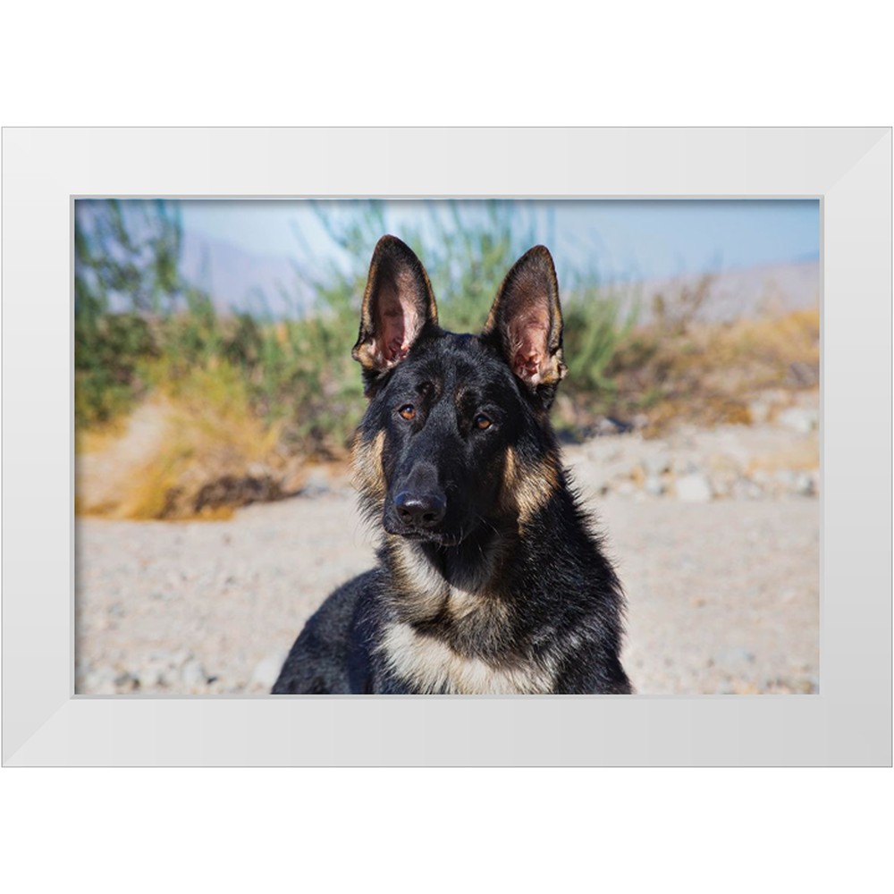 Muench, Zandria 24x17 White Modern Wood Framed Museum Art Print Titled ...