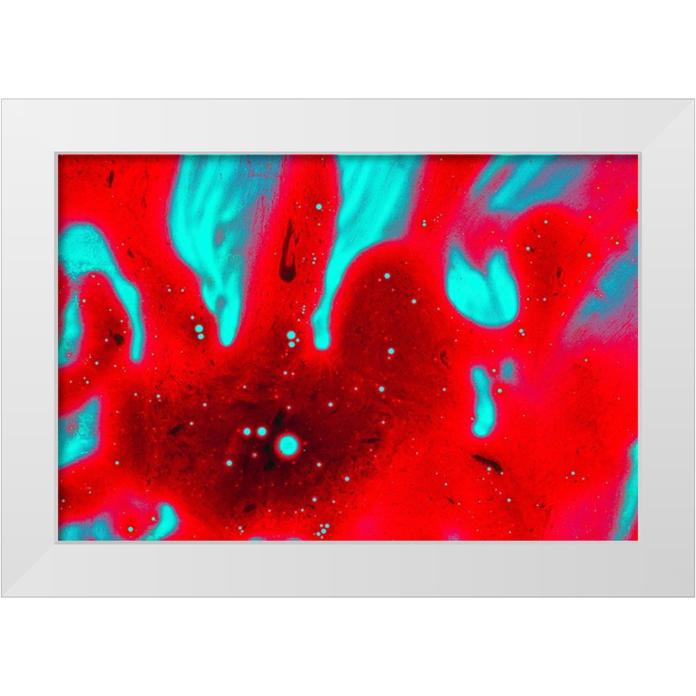 Muench, Zandria 24x17 White Modern Wood Framed Museum Art Print Titled ...