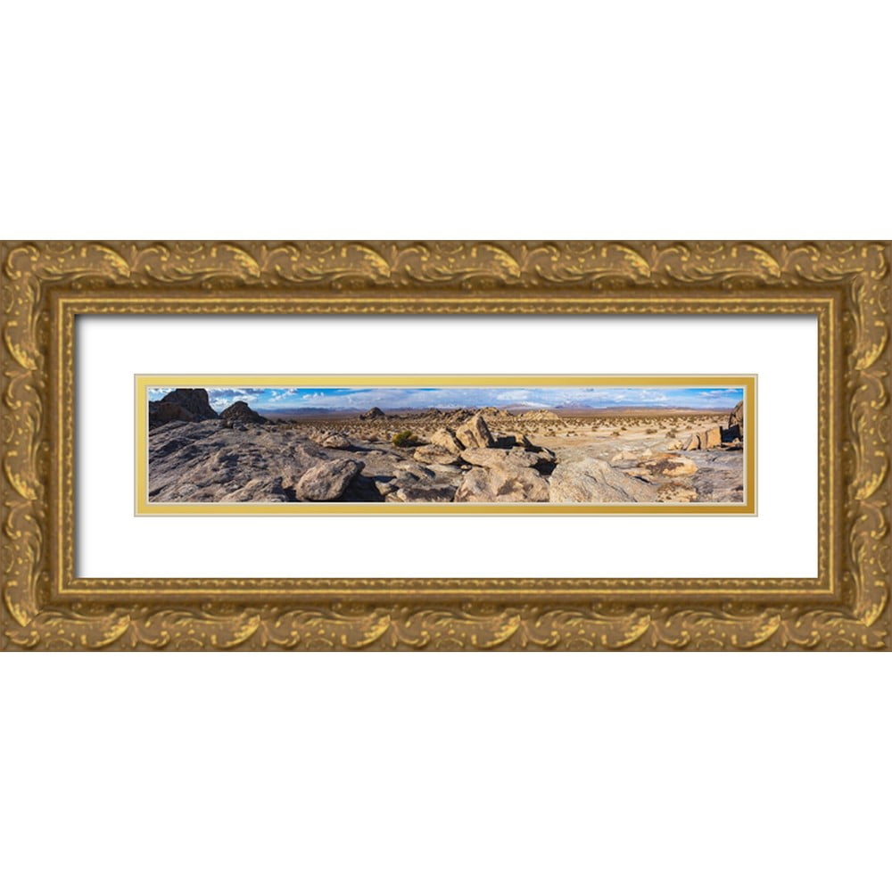 Muench, Zandria 24x8 Gold Ornate Wood Framed with Double Matting Museum ...