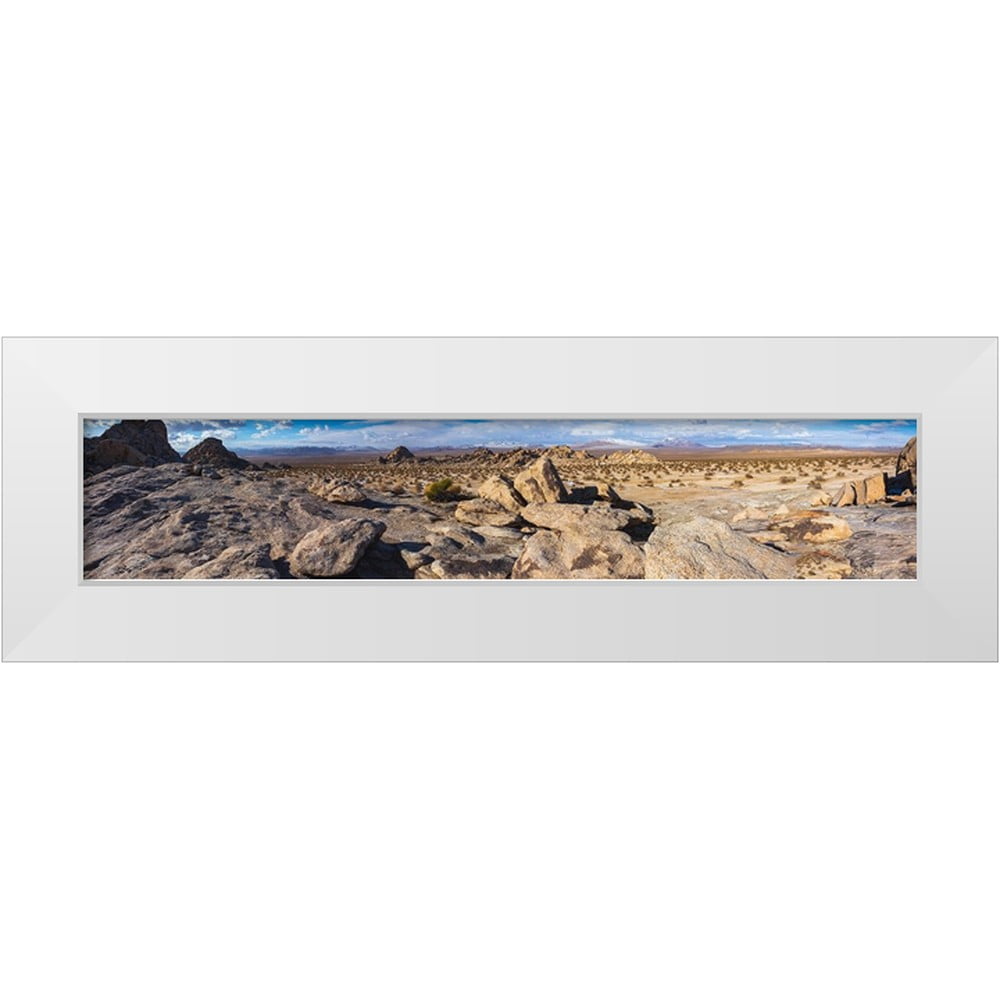 Muench, Zandria 24x8 White Modern Wood Framed Museum Art Print Titled ...
