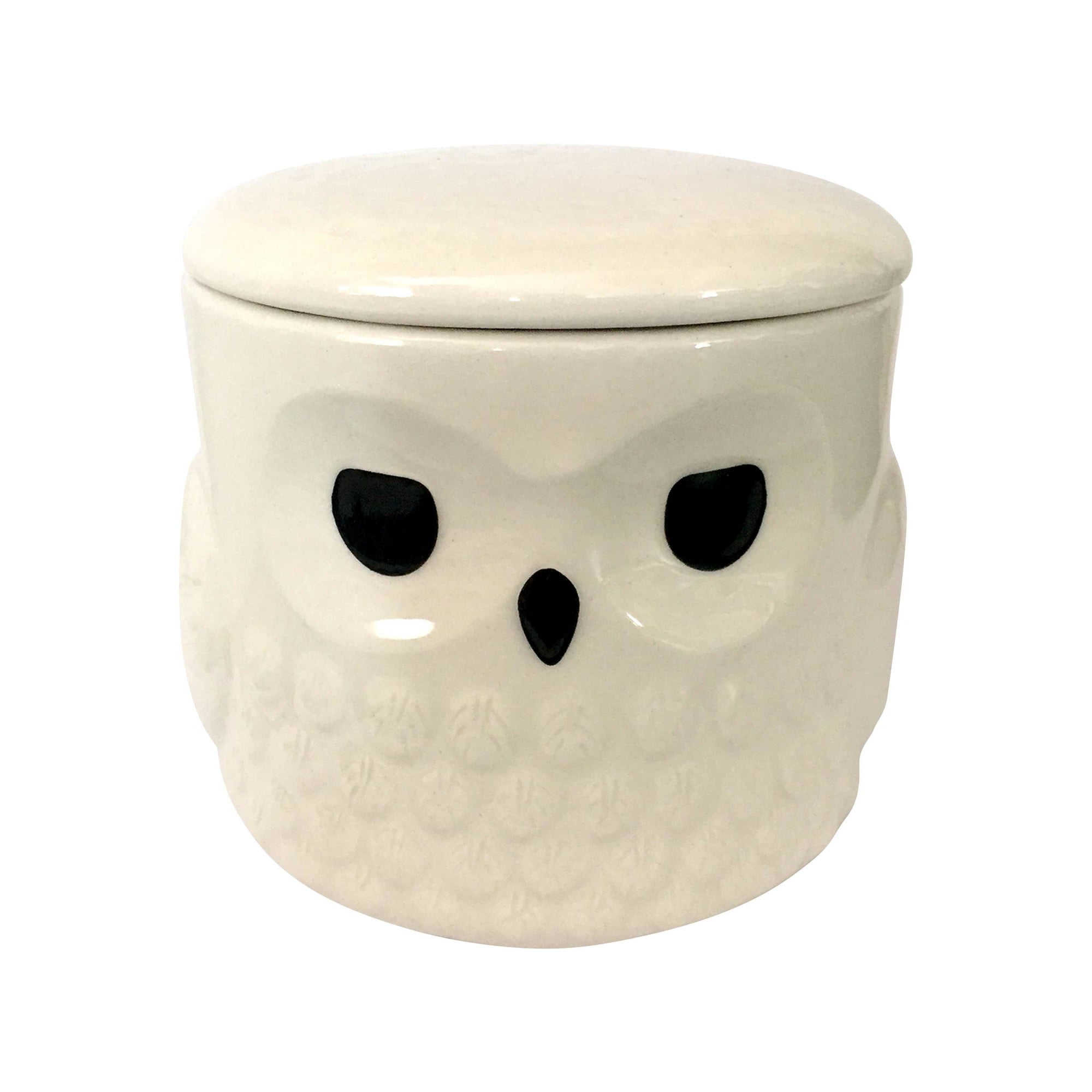 Mug - Harry Potter - Hedwig Cup w/Lid 16oz New 6003588 - Walmart.com