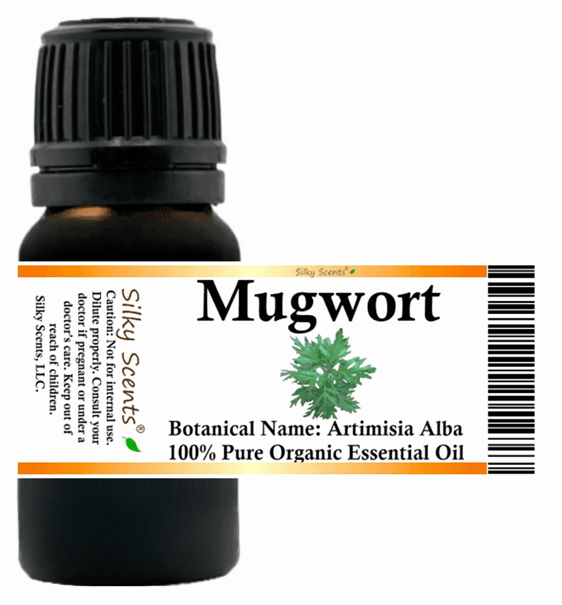 Mugwort Organic Essential Oil 10 ml (1/3 fl oz) - 100% Pure and Natural ...