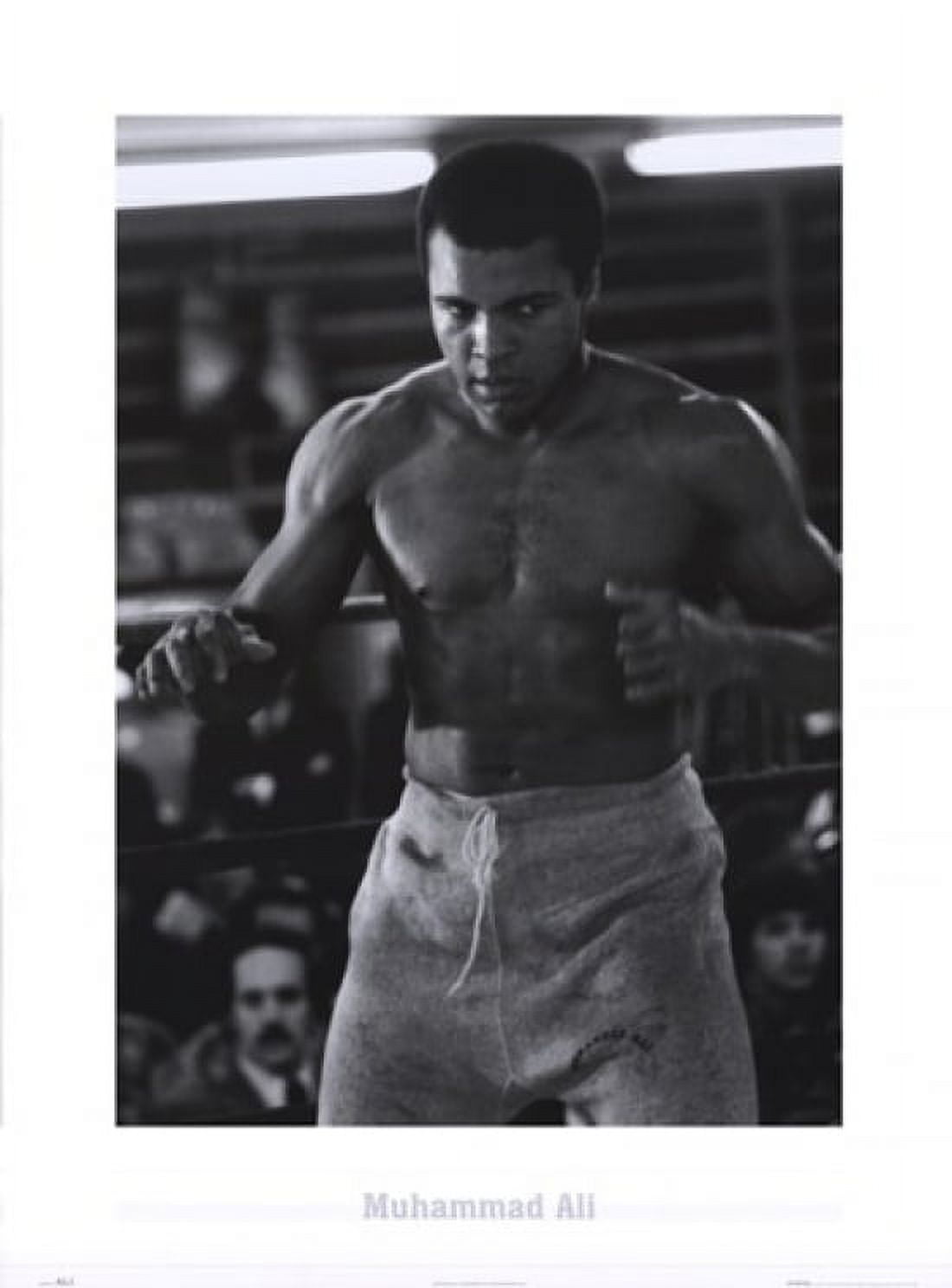 Muhammad Ali - Champ Poster (24 x 32) - Walmart.com