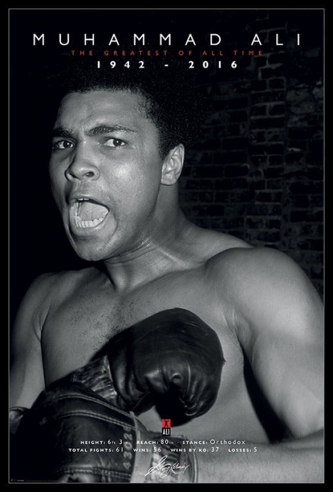 Muhammad Ali Memorial poster 1942 - 2016 Laminated & Framed Poster (36 ...