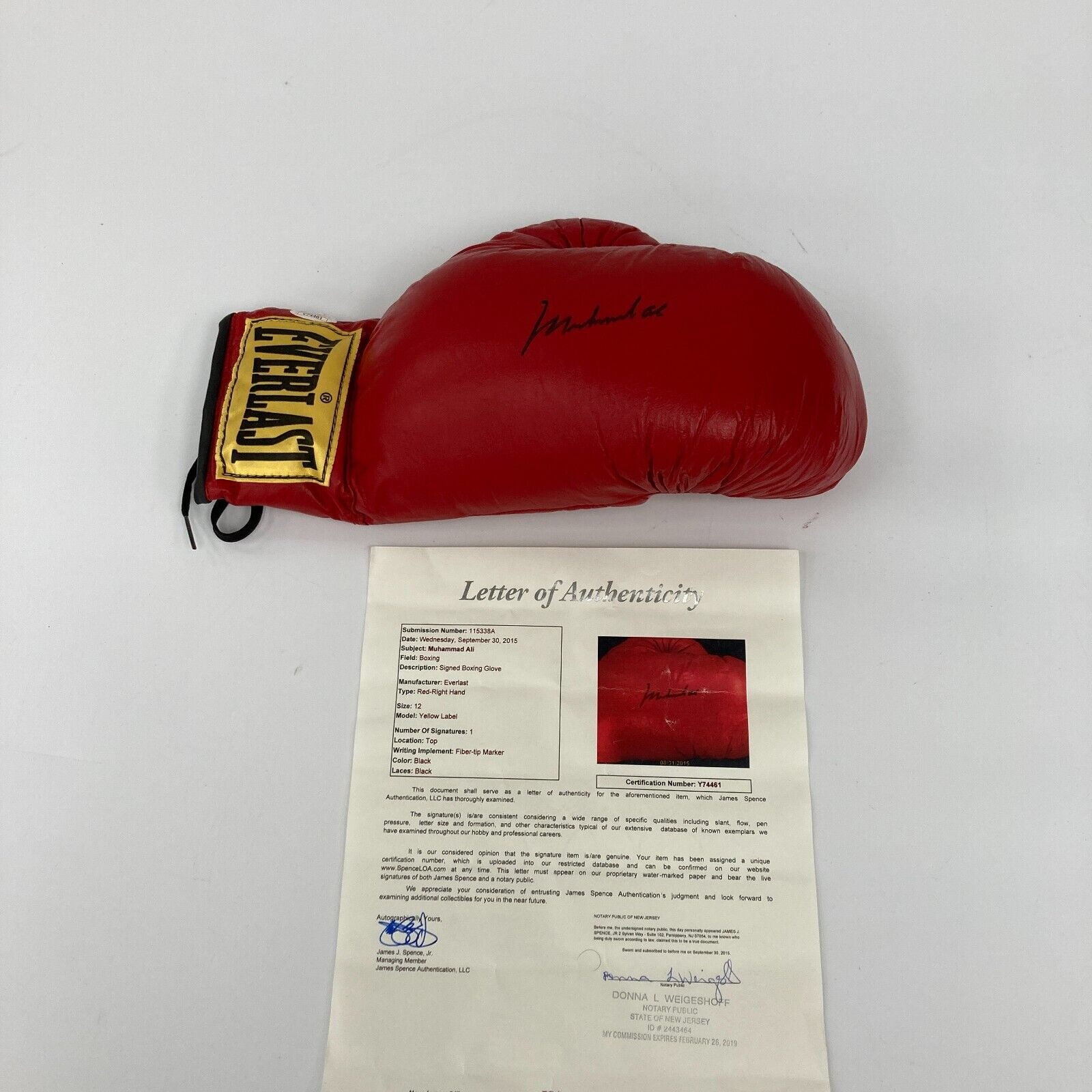 Muhammad Ali Signed Autographed Everlast Boxing Glove JSA COA - Walmart.com