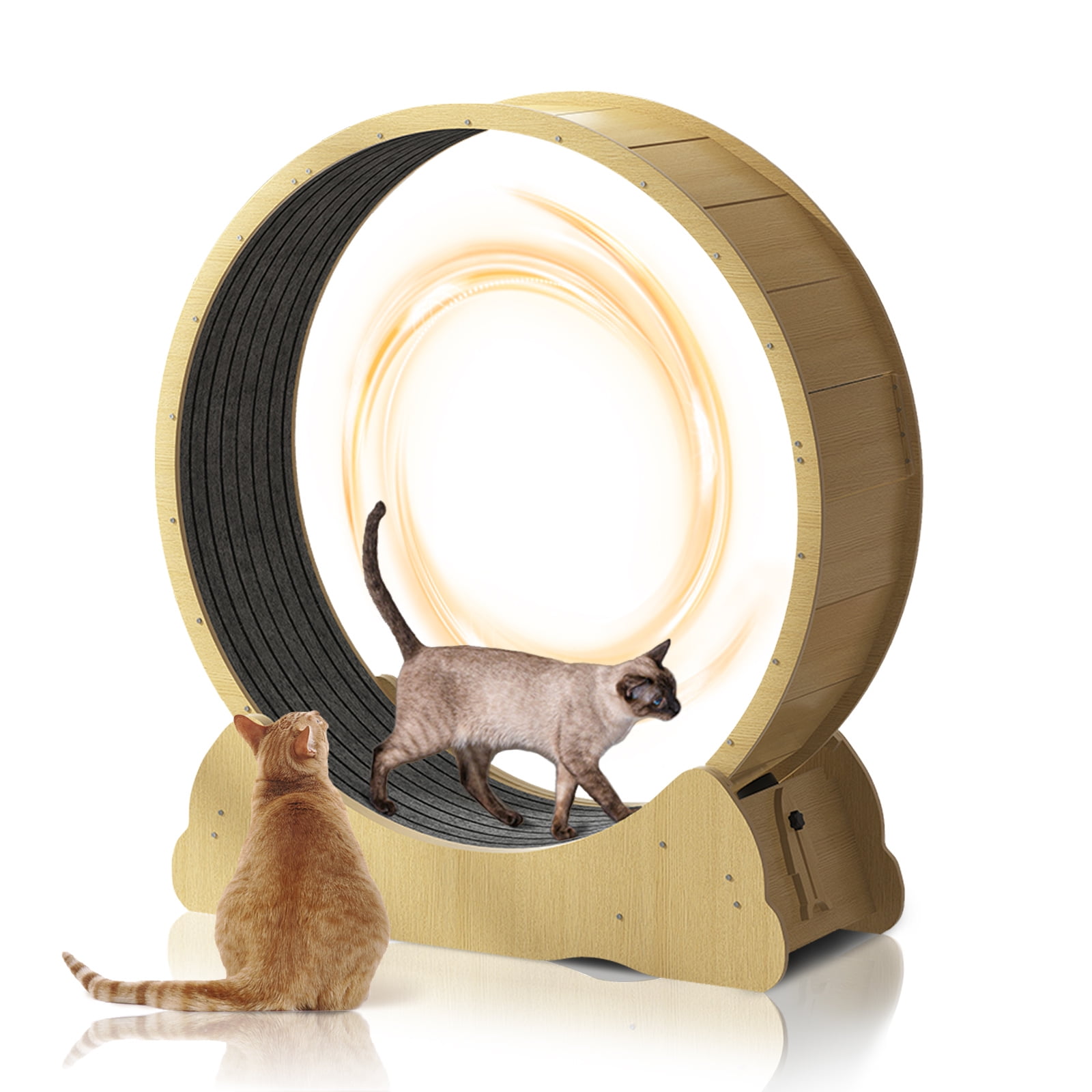 "Muhub Gym Toy, 41"" Cat Wheel Exerciser for Indoor Cats, Cat Running ...