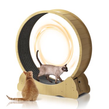 Prevue Pet Kitty Power Paws Sphere with Tassel Cat Toy - Walmart.com