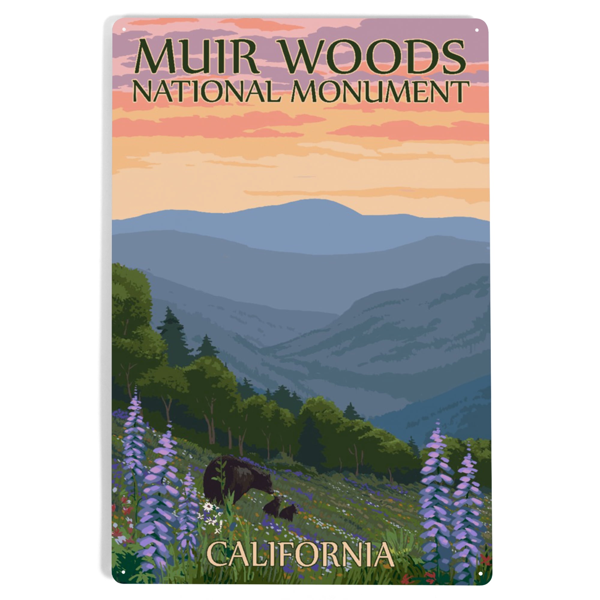 Muir Woods National Monument, California, Bear and Spring Flowers ...