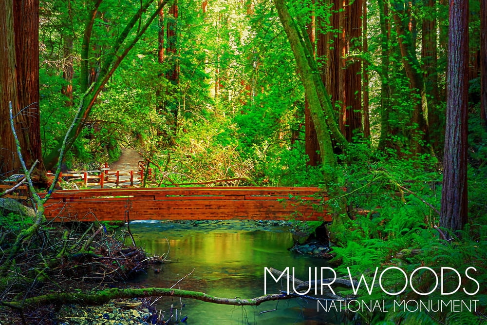 Muir Woods National Monument, California, Bridge Photograph (24x36 ...