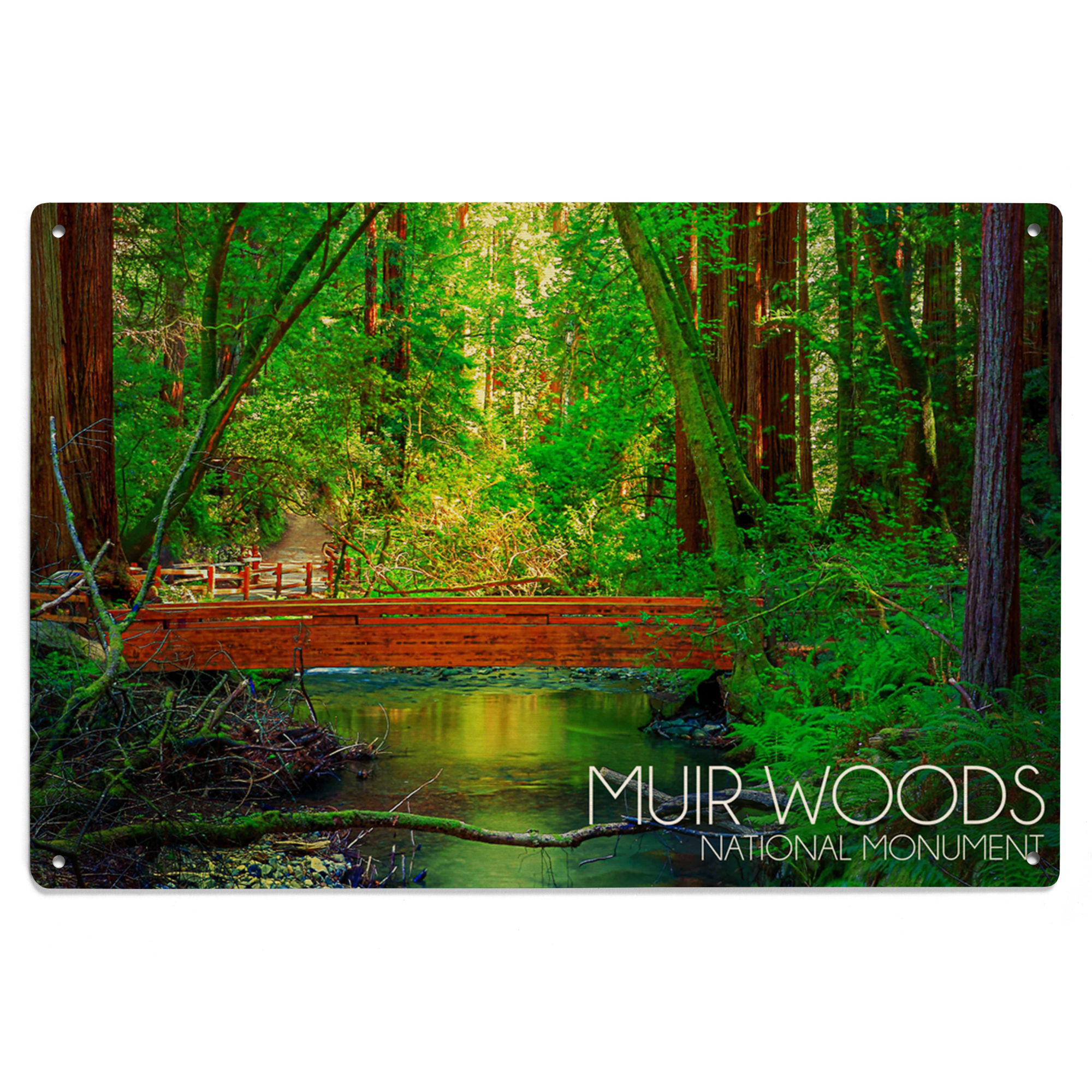 Muir Woods National Monument, California, Bridge Photograph Birch Wood ...