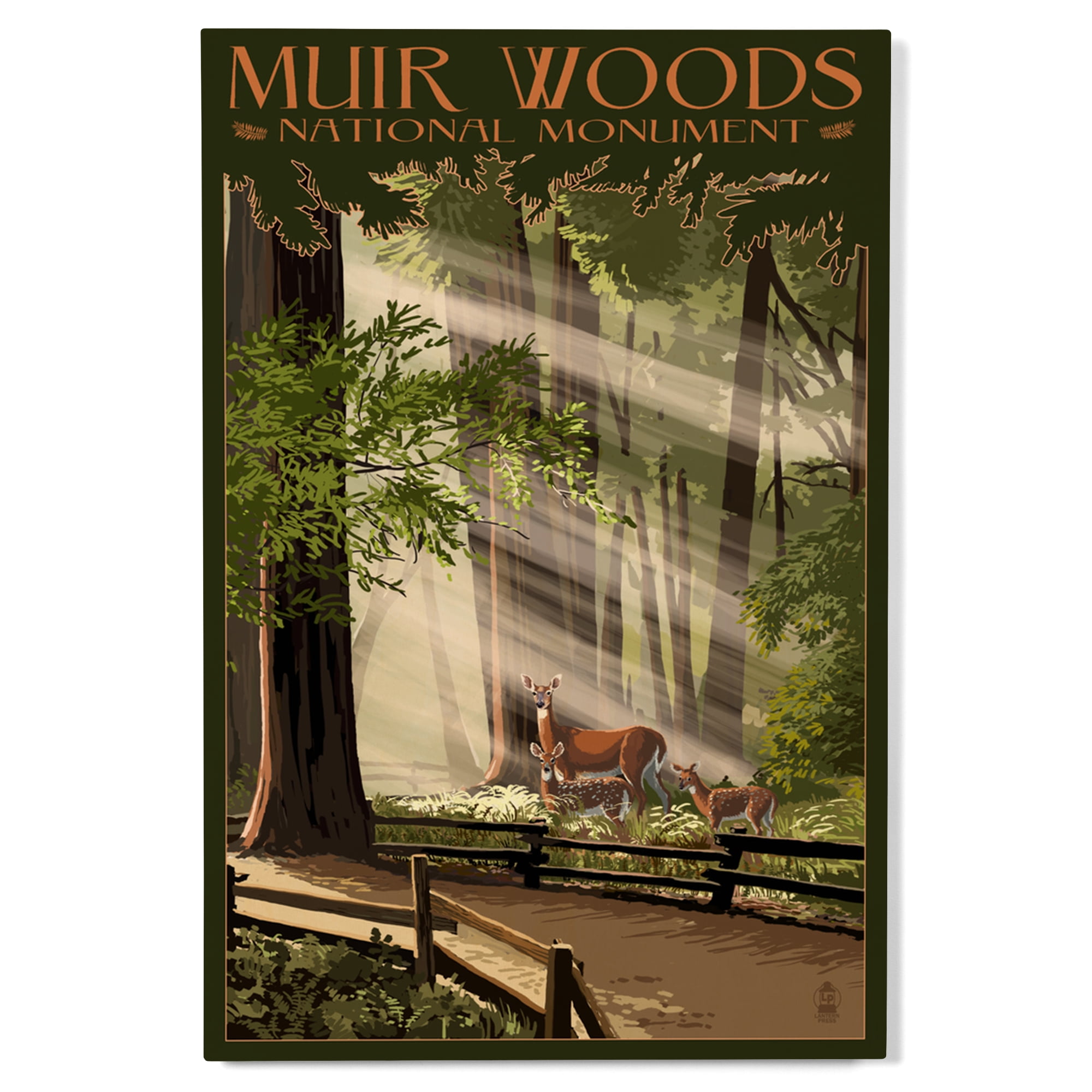 Muir Woods National Monument, California, Deer and Fawns Birch Wood ...