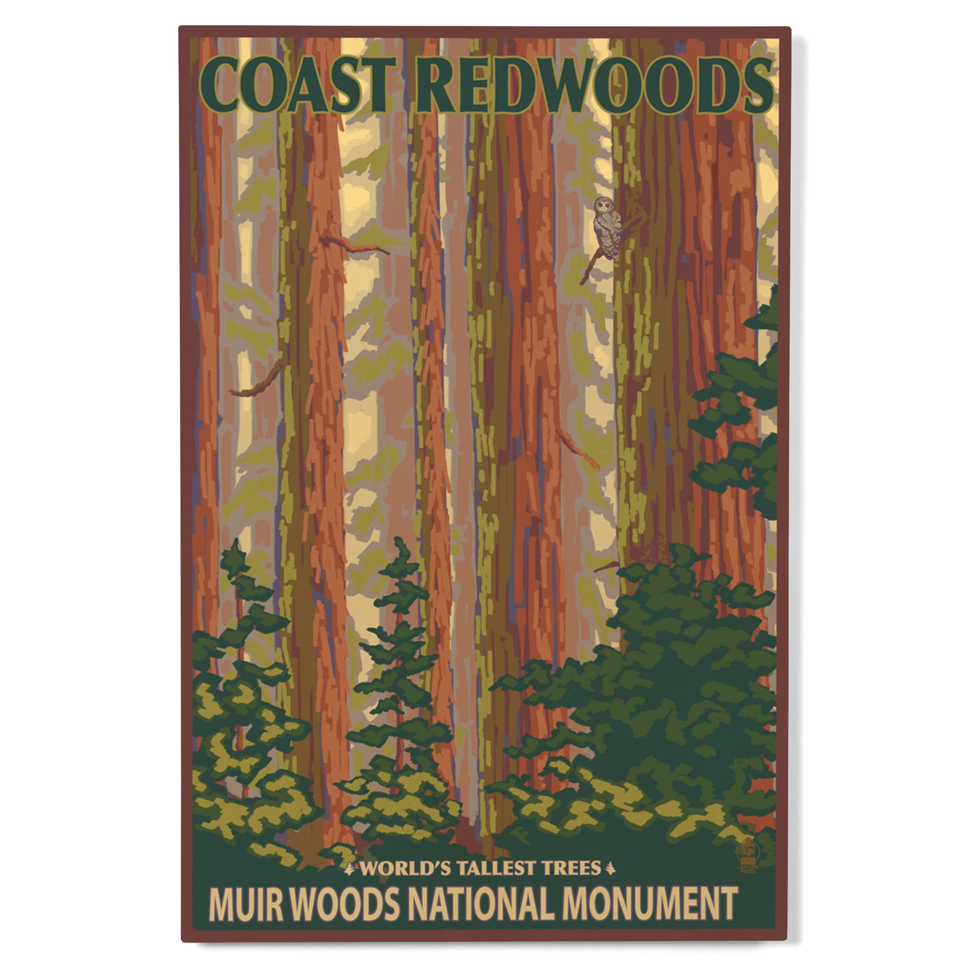 Muir Woods National Monument, California, Forest View Birch Wood Wall ...