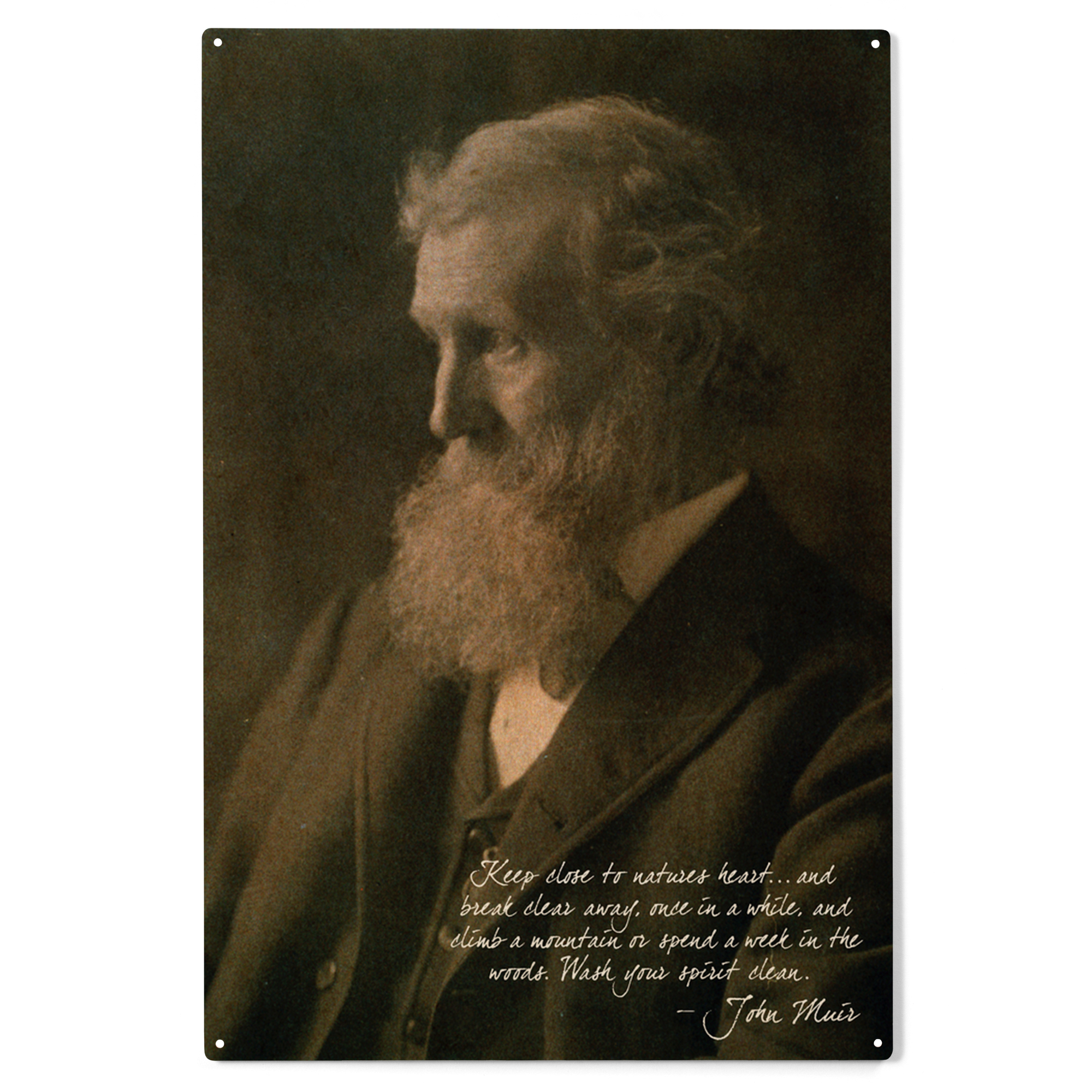 Muir Woods National Monument, California, John Muir Portrait Birch Wood ...