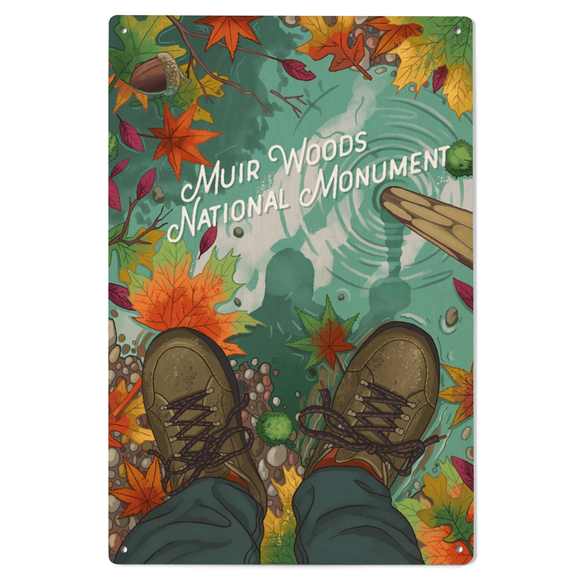 Muir Woods National Monument, California, Outdoor Activity, Hiking ...