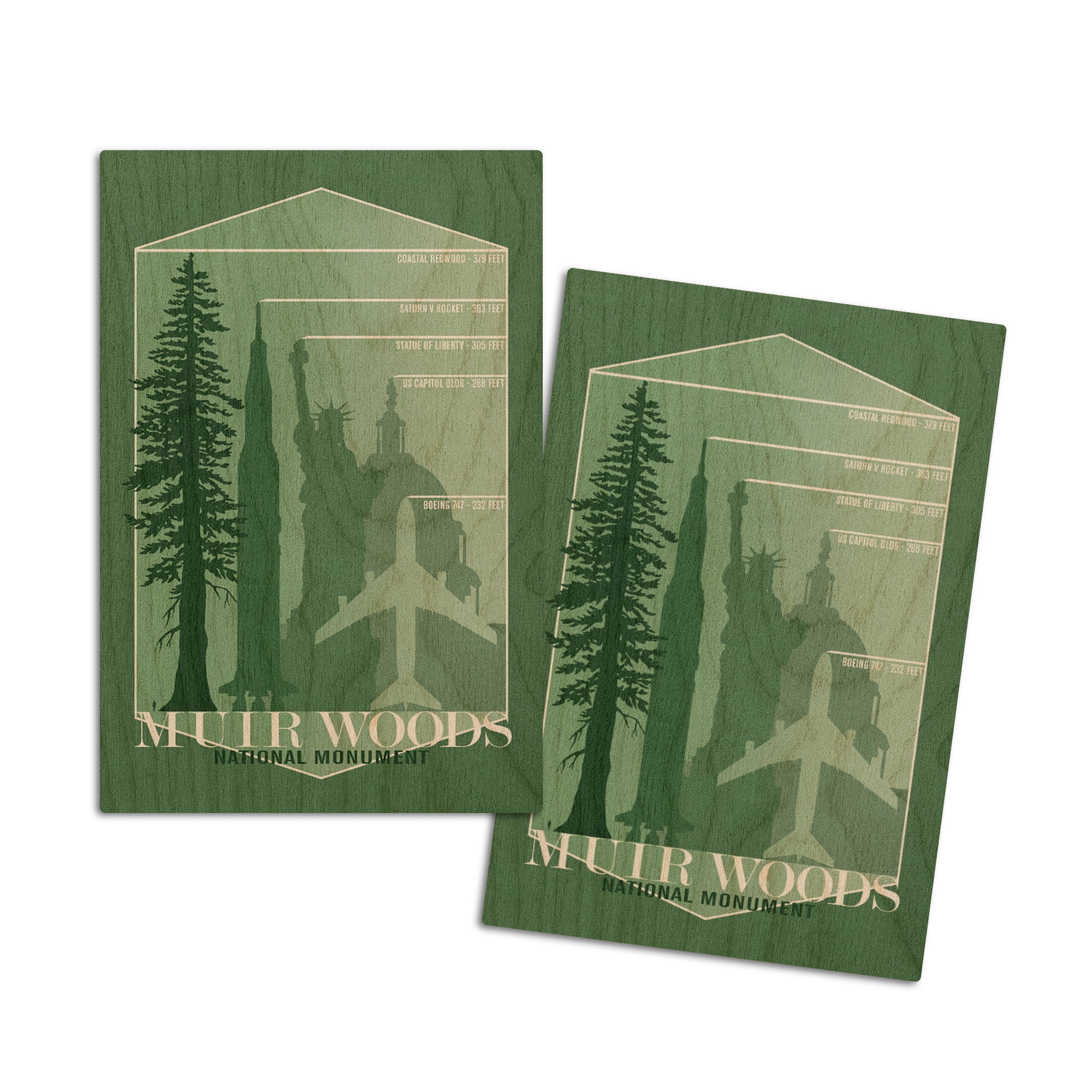 Muir Woods National Monument, California, Relative Sizes of the Redwood ...