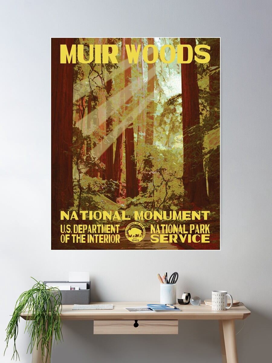 Muir Woods National Monument Park Poster Poster Wall Art, Modern Wall ...