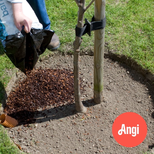 Mulch Installation (2.5 Hours) - Walmart.com