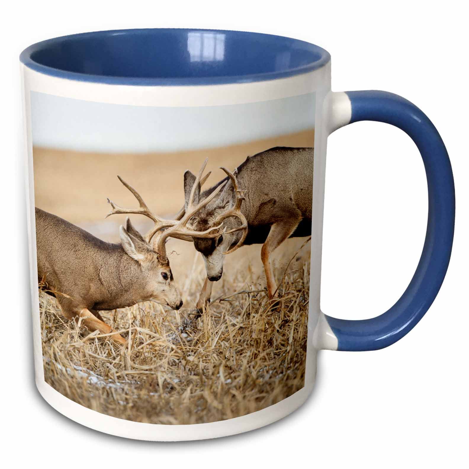 3drose, Mule Deer, Odocoileus Hemionus, Bucks Fighting During Rut, 11oz ...