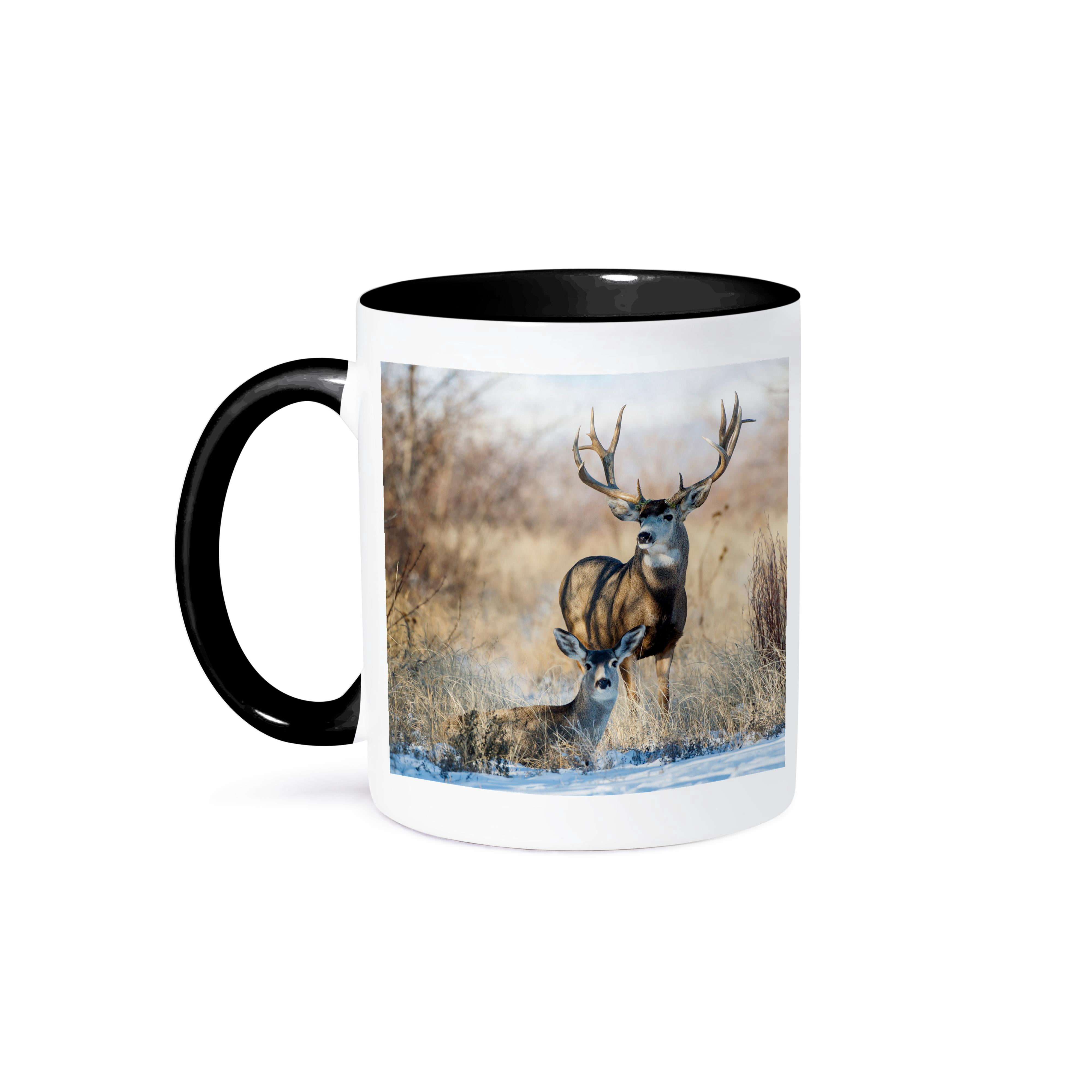 3dRose, Mule Deer, Odocoileus hemionus, buck and doe bedded, 15oz Two ...